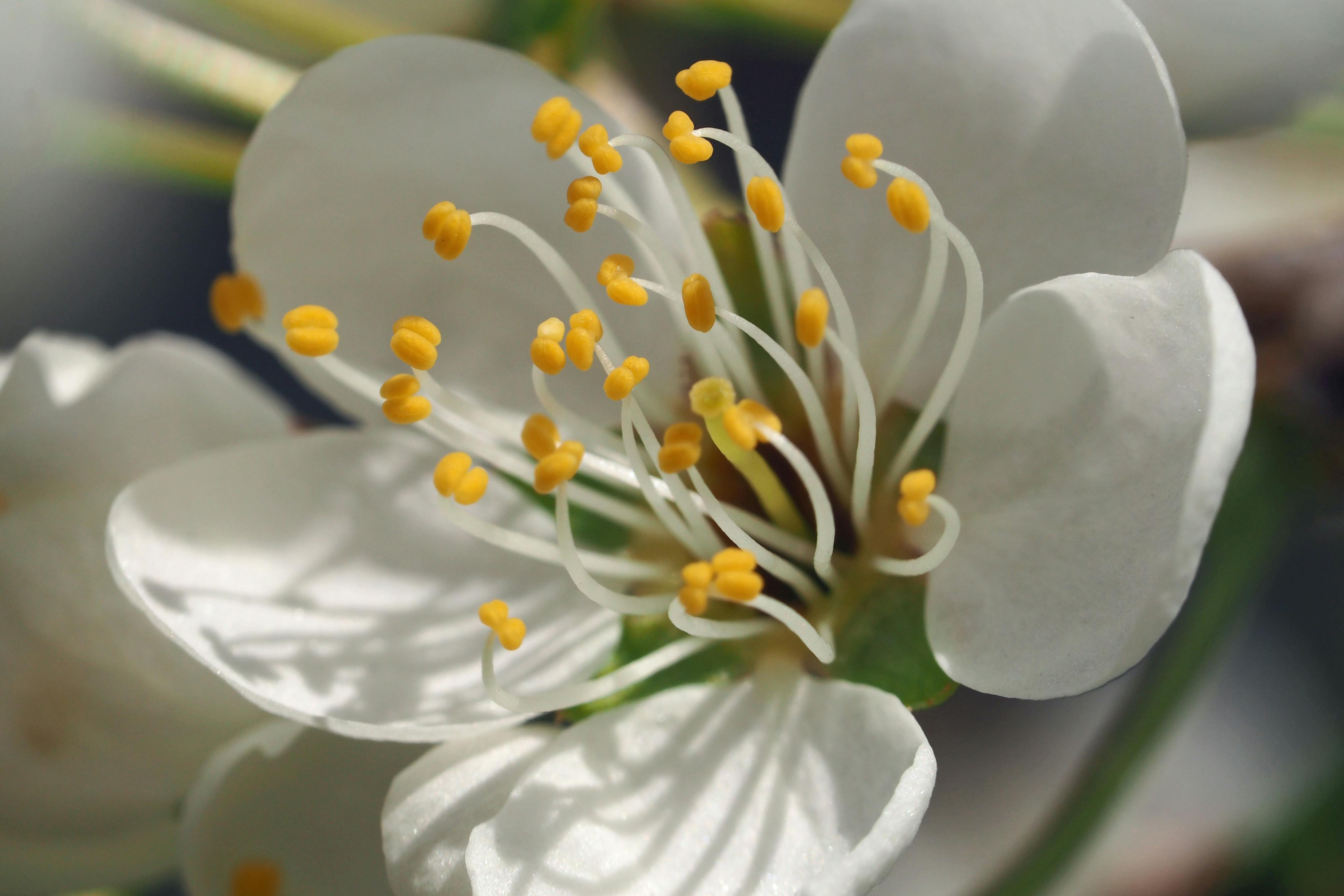 Vincent Cloutier - 写真