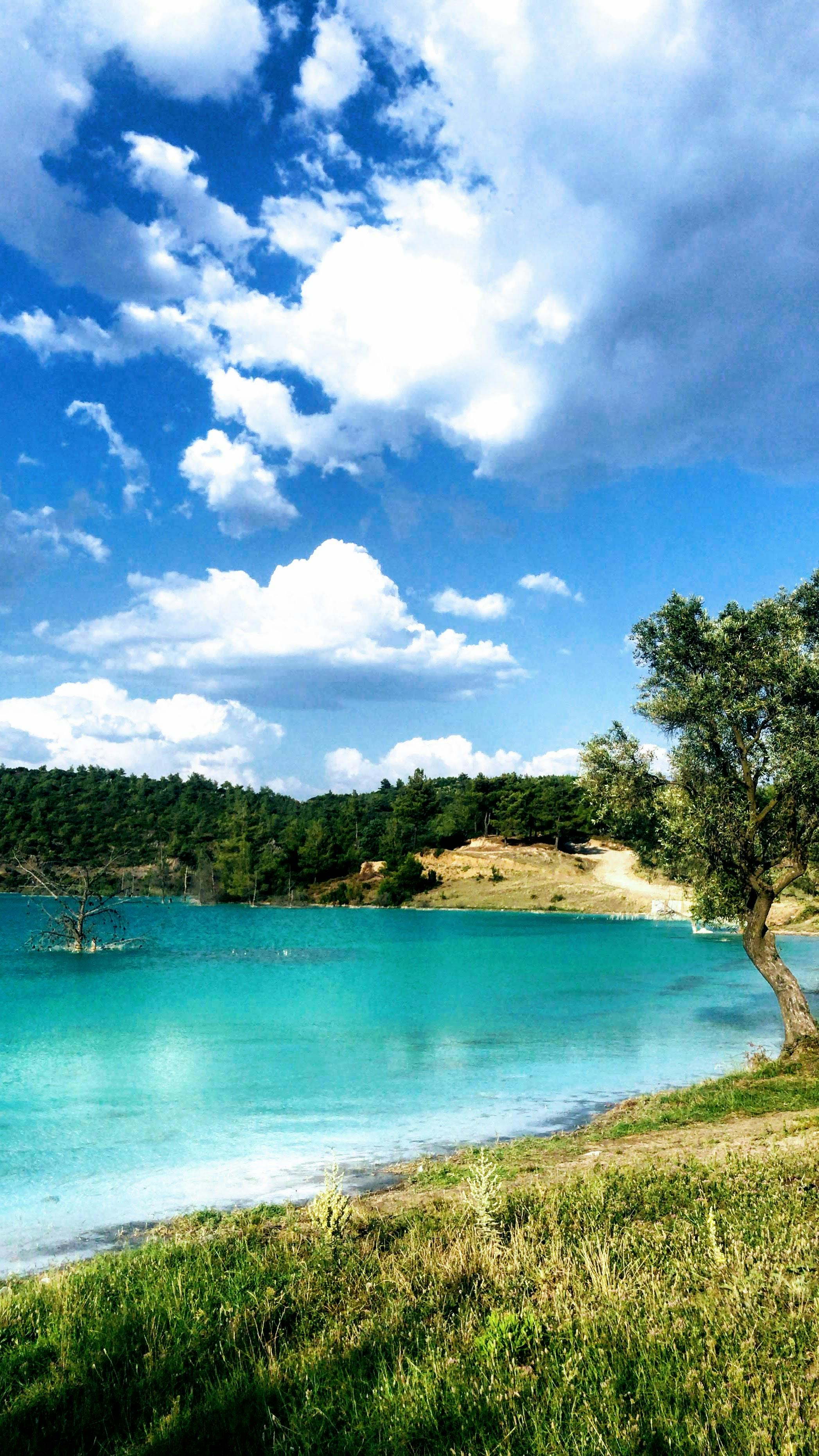 Sema Selek - Fotografía