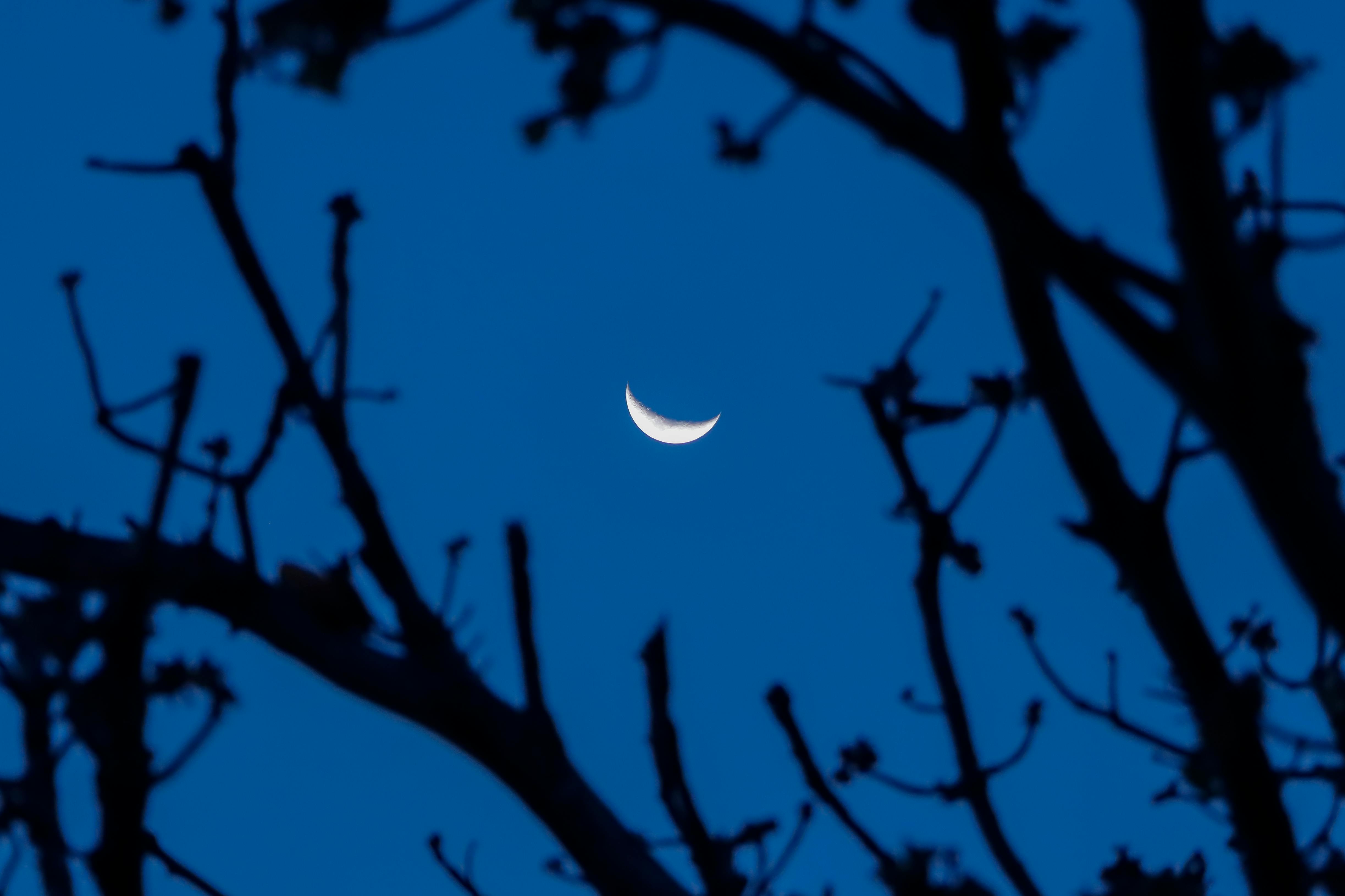 Time Of Eclipse In Texas: Discover The Best Moments To Watch