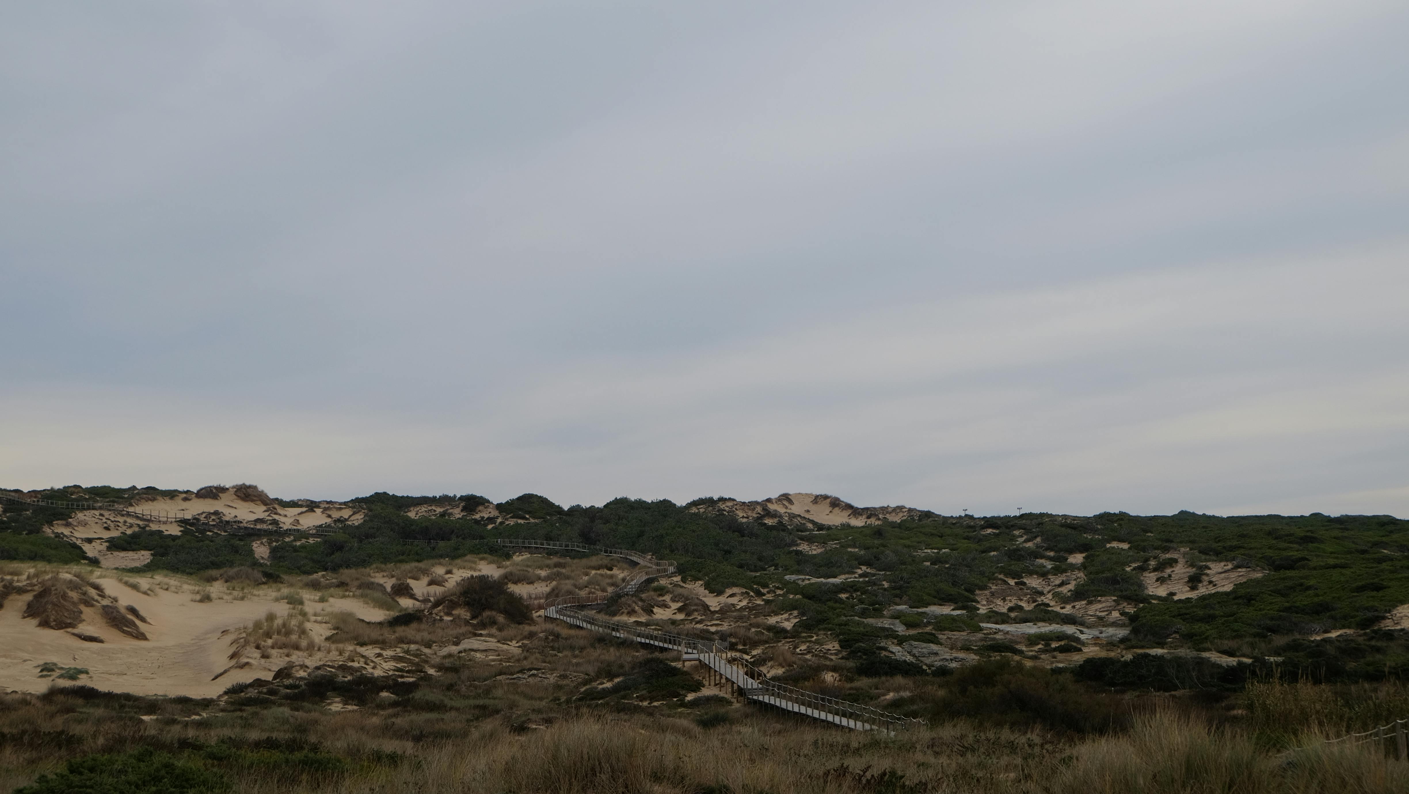 Cave In Bushes Photos, Download The BEST Free Cave In Bushes Stock ...