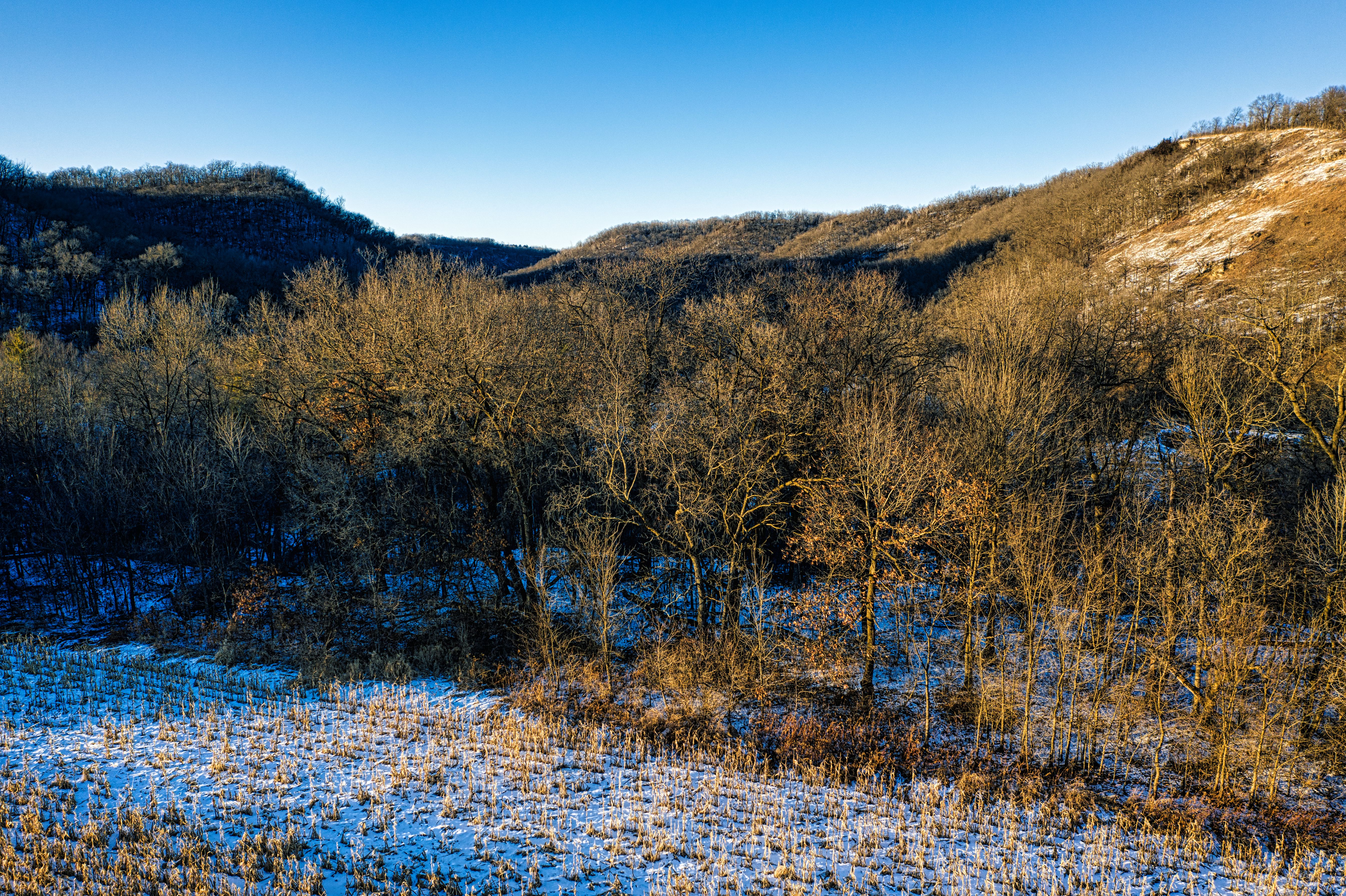 Field and Forest in Snowed Valley · Free Stock Photo