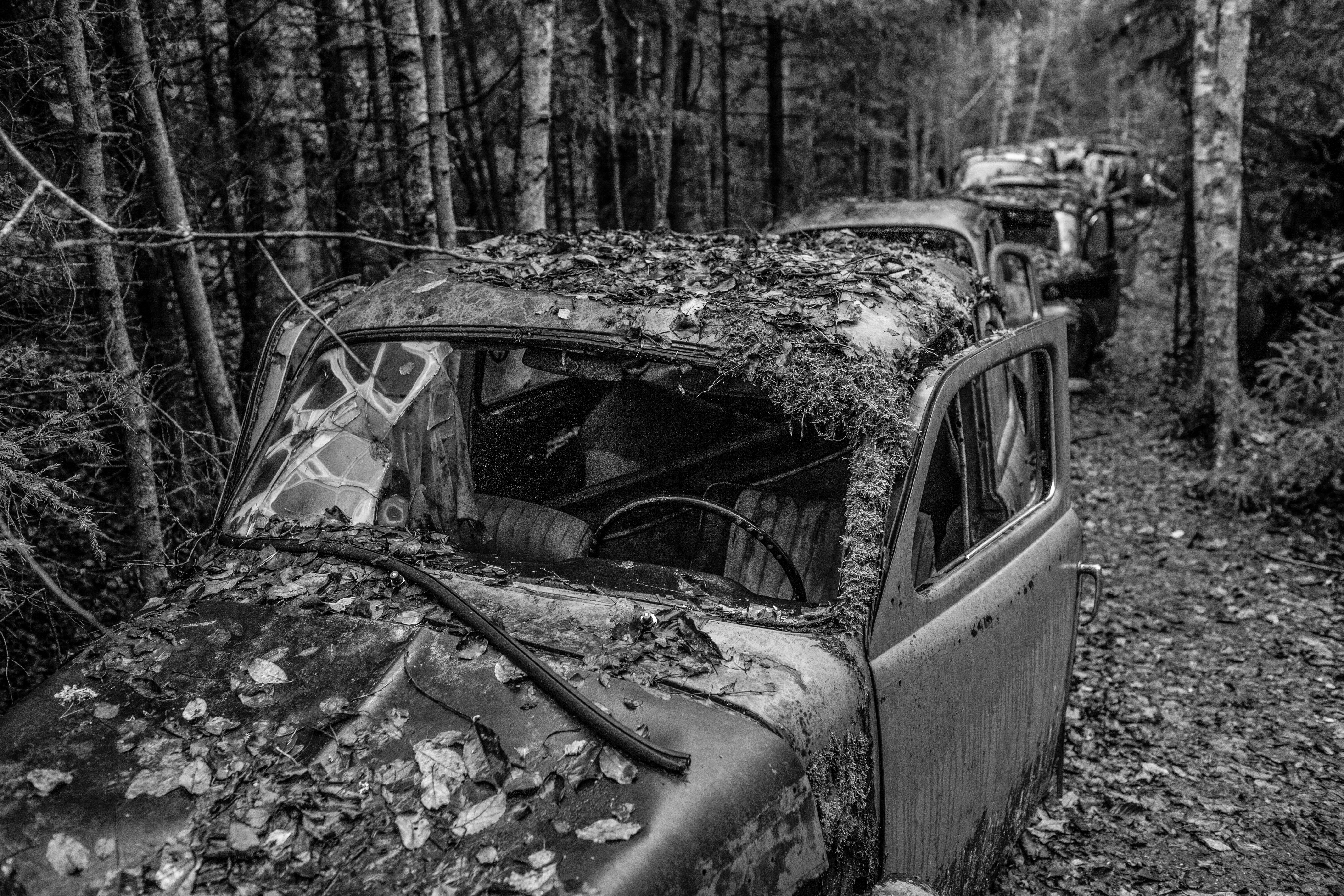 Grayscale Photo Of Broken Vehicles · Free Stock Photo