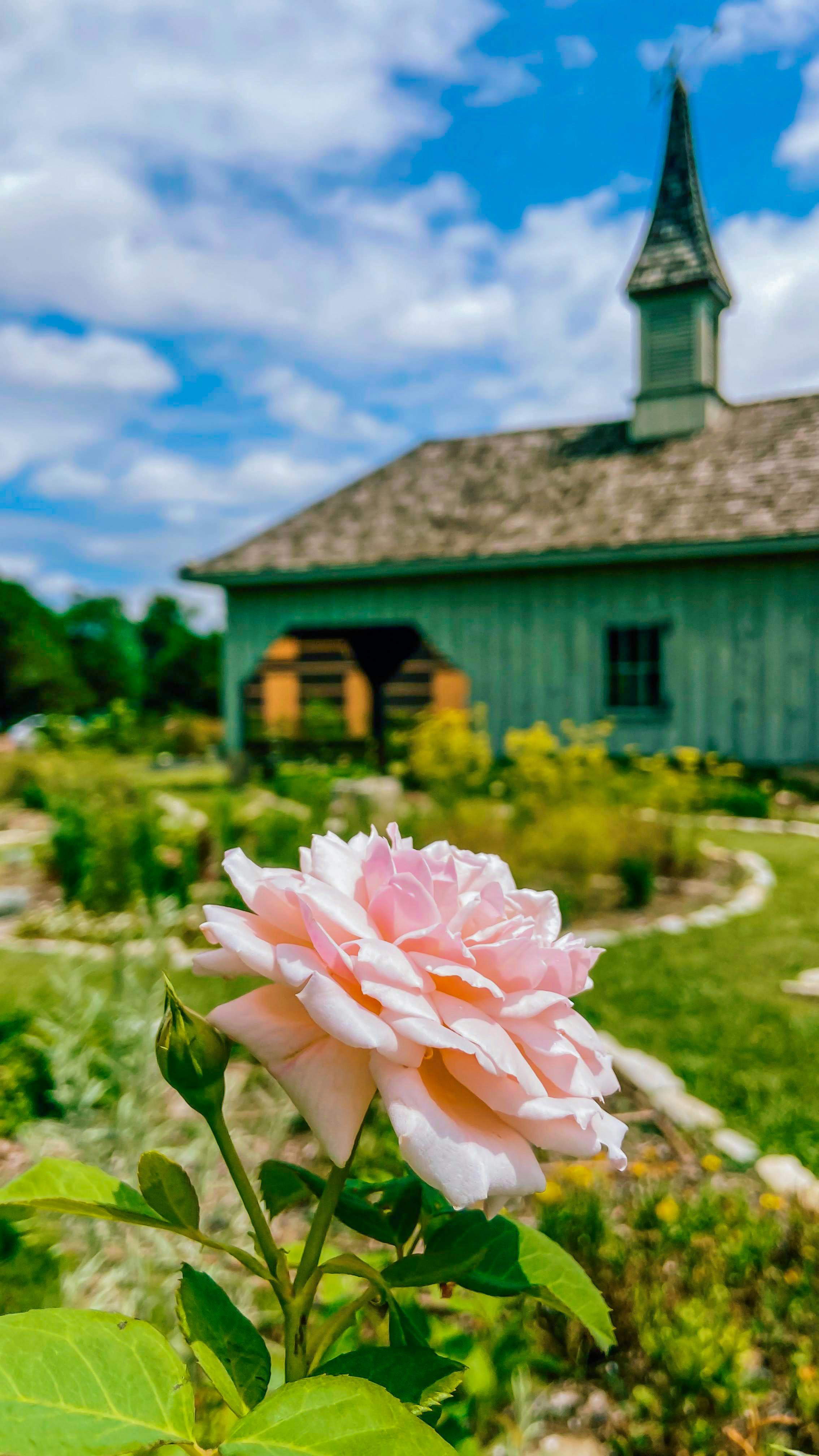 Bud House Photos, Download The BEST Free Bud House Stock Photos & HD Images