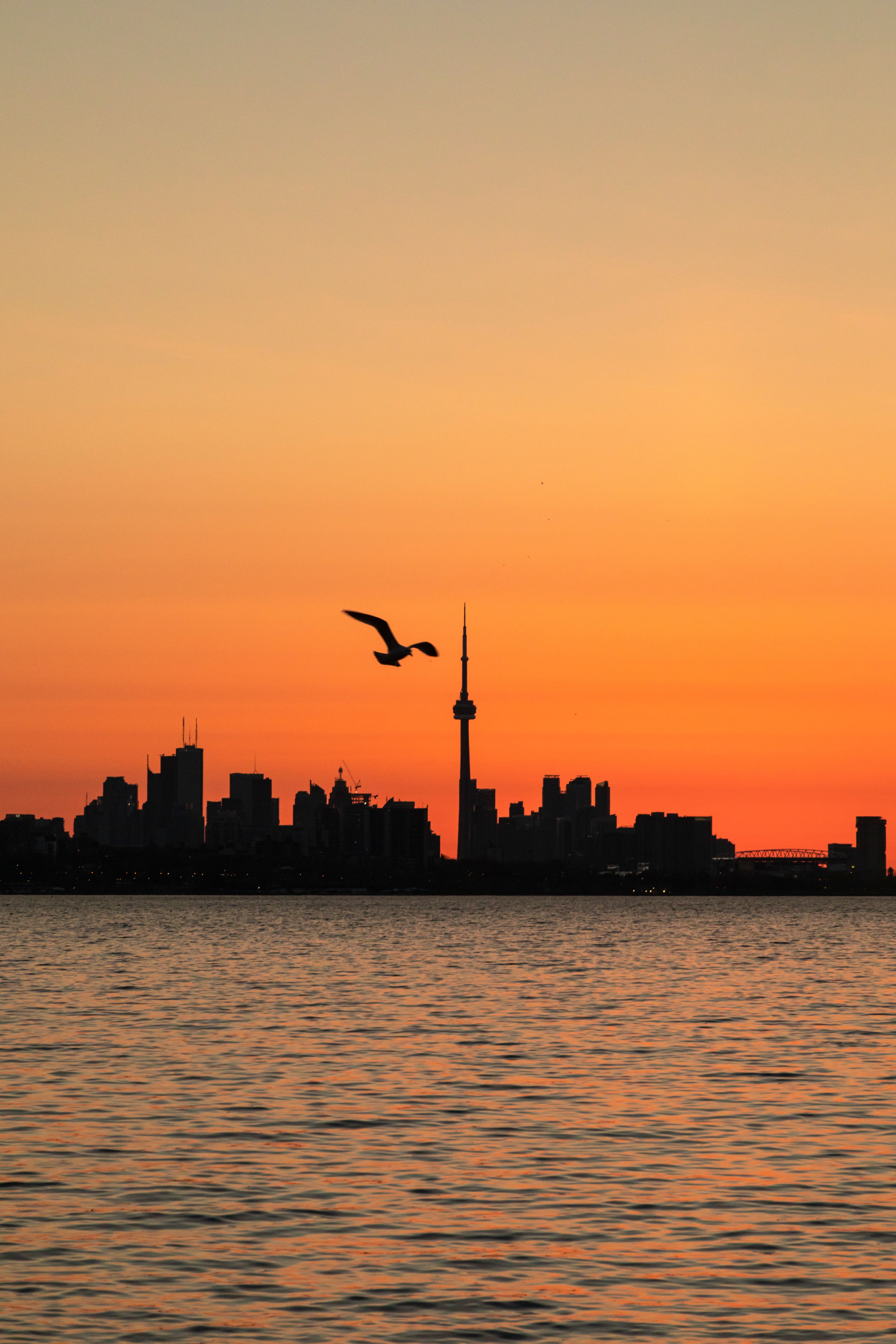 Beyond The City Photos, Download The BEST Free Beyond The City Stock ...