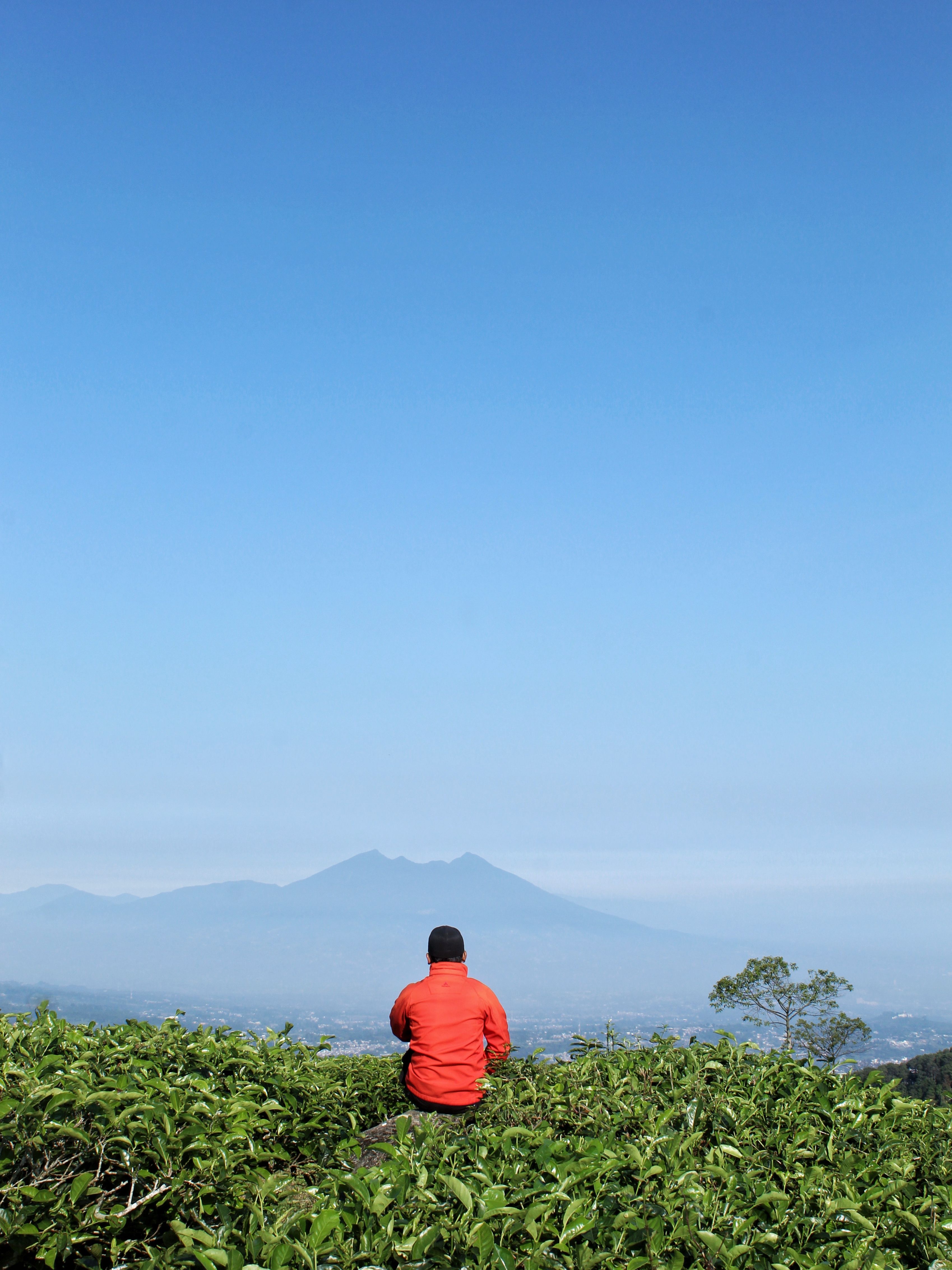 Man Looking at Mountain View · Free Stock Photo