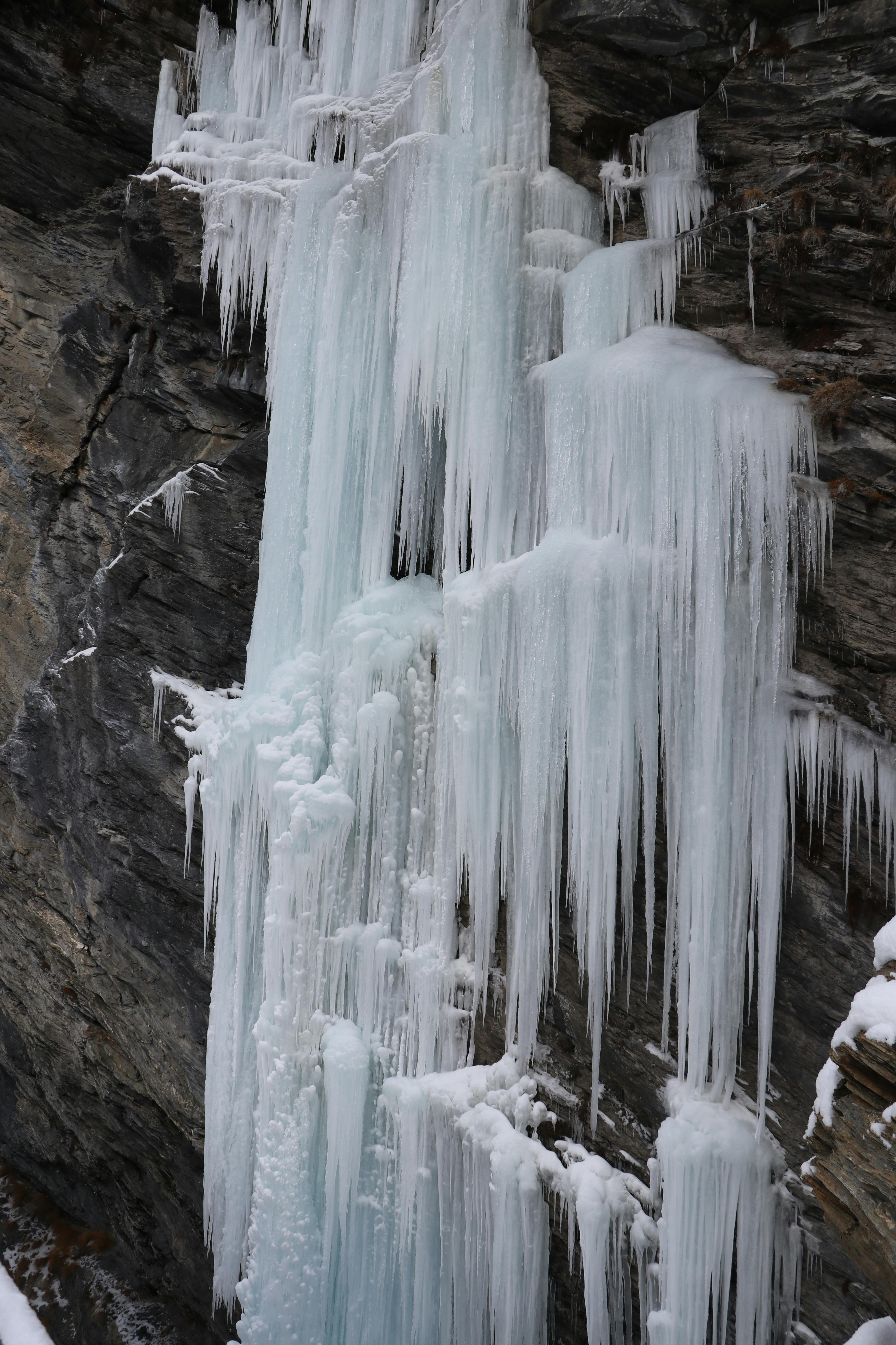Close up of Frozen Icicles · Free Stock Photo