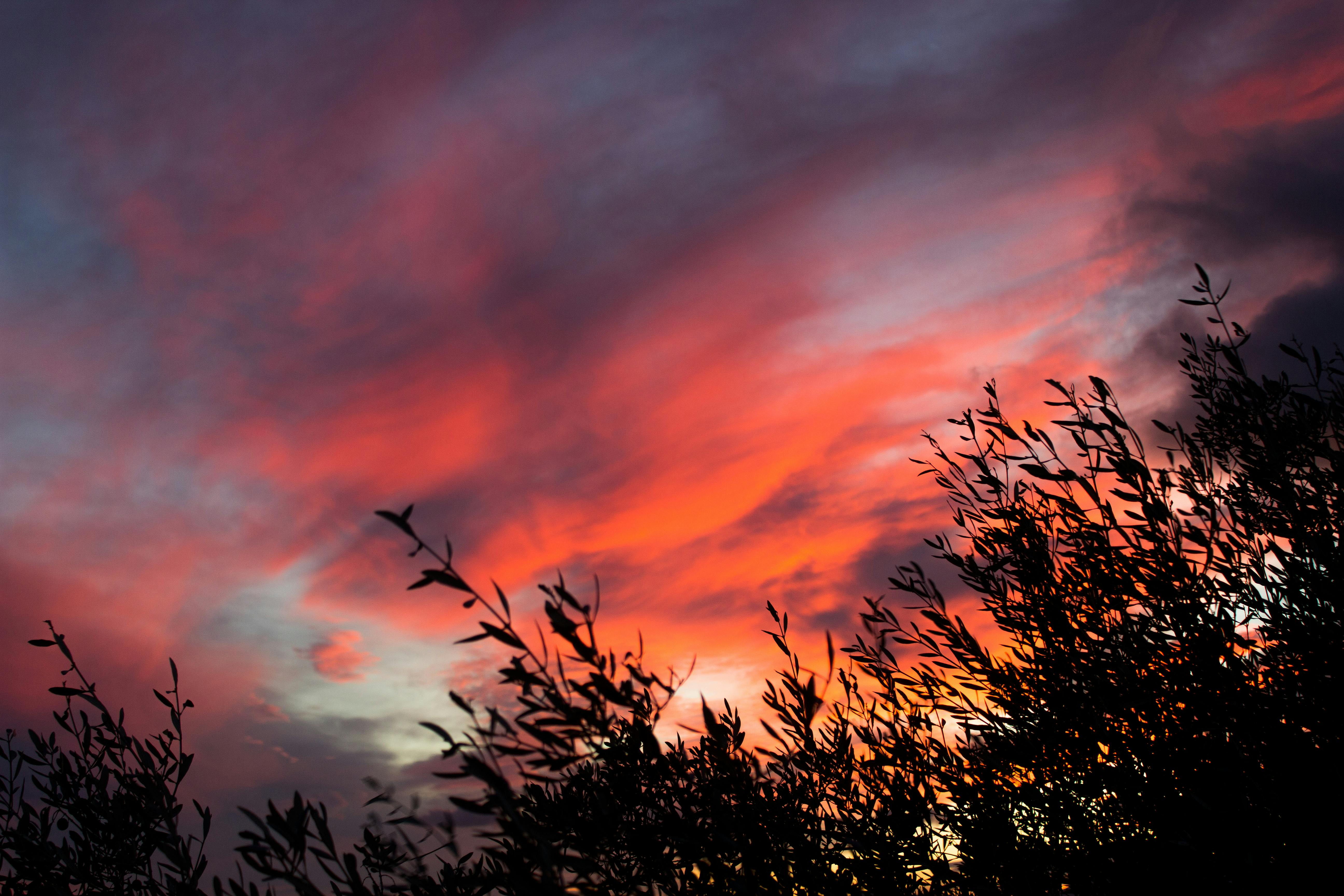 Brown Clouds during Sunset · Free Stock Photo