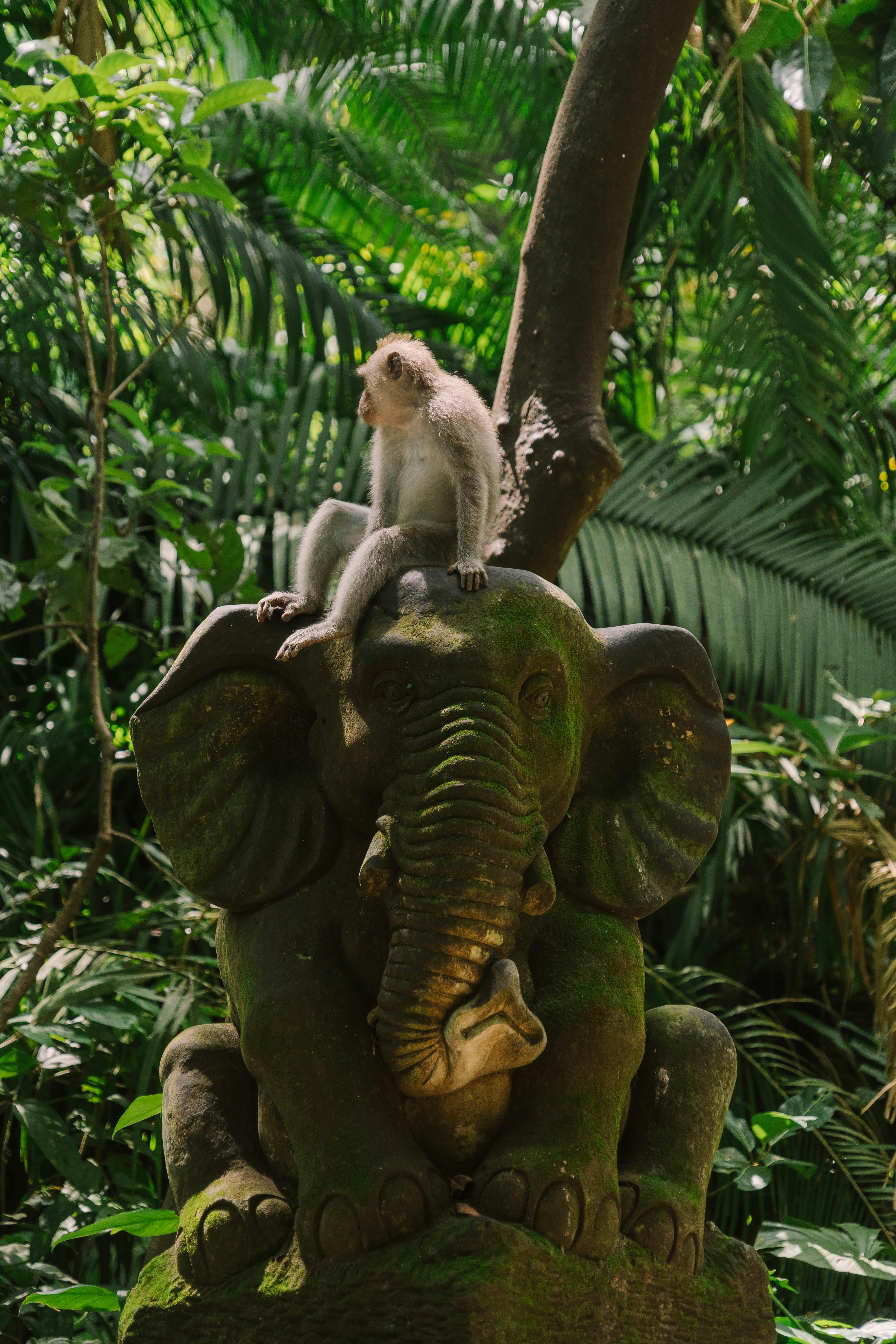 Photo of a Monkey on an Elephant Sculpture · Free Stock Photo