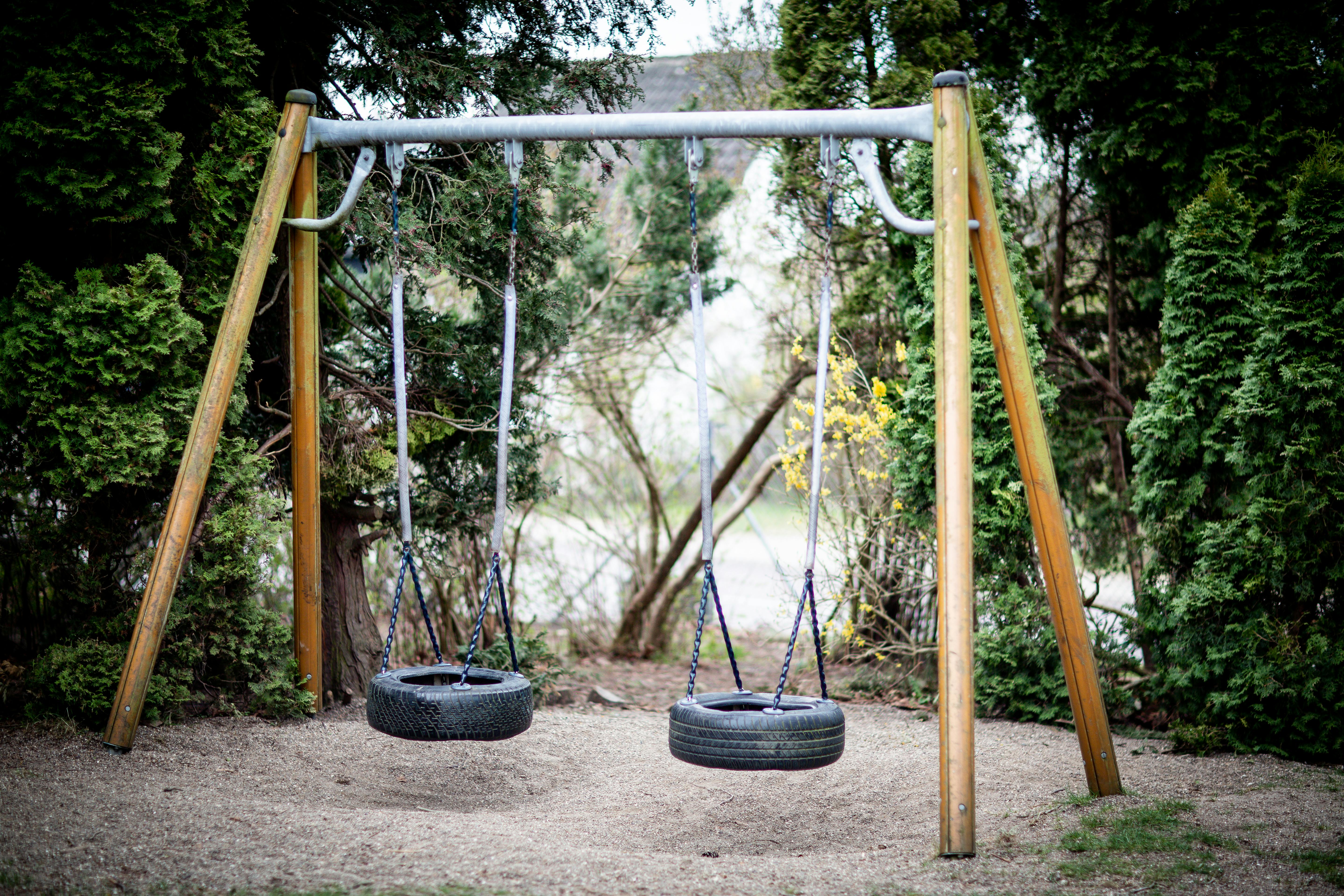 An Outdoor Tire Swings · Free Stock Photo