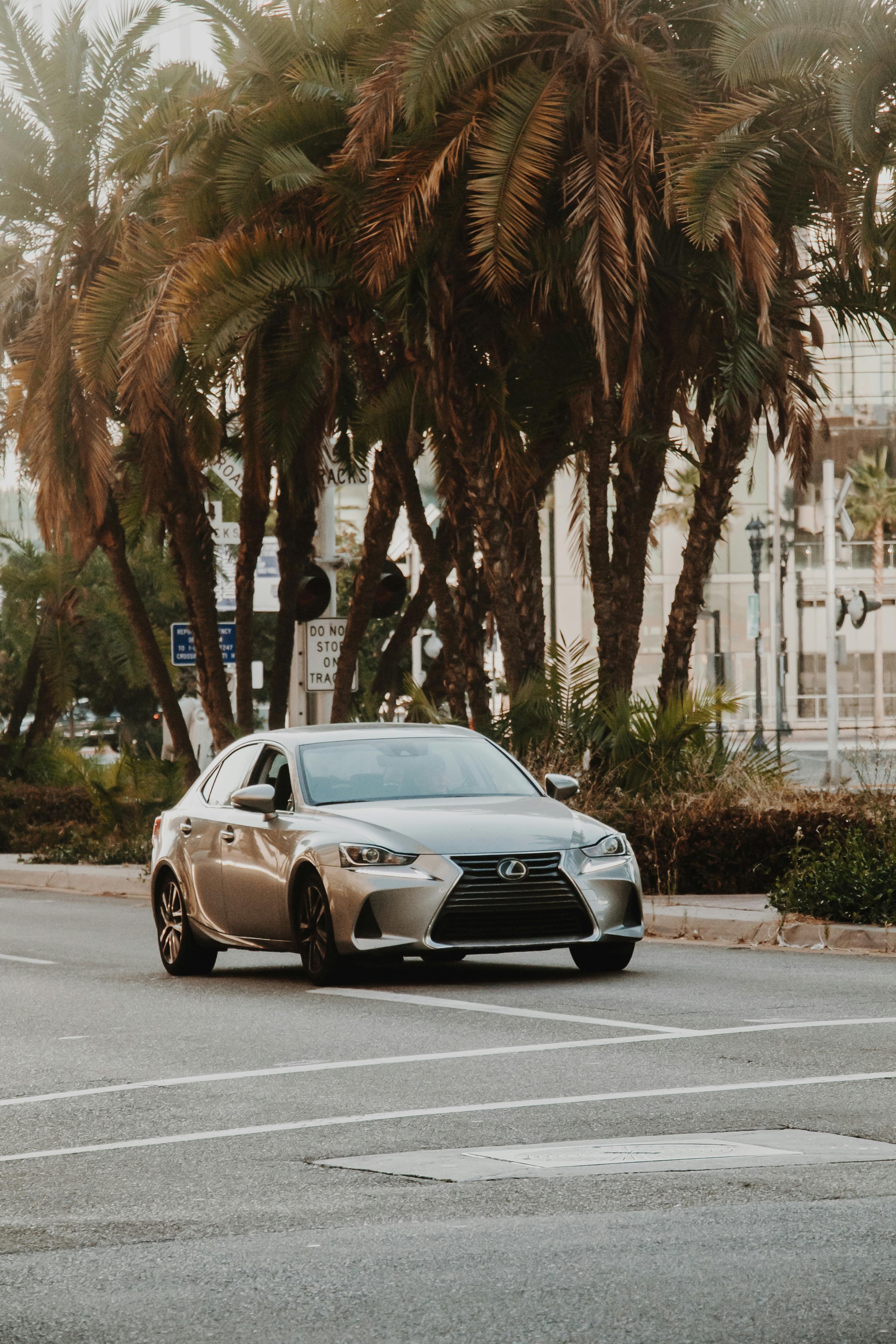 Car Landscape Photos, Download The BEST Free Car Landscape Stock Photos ...