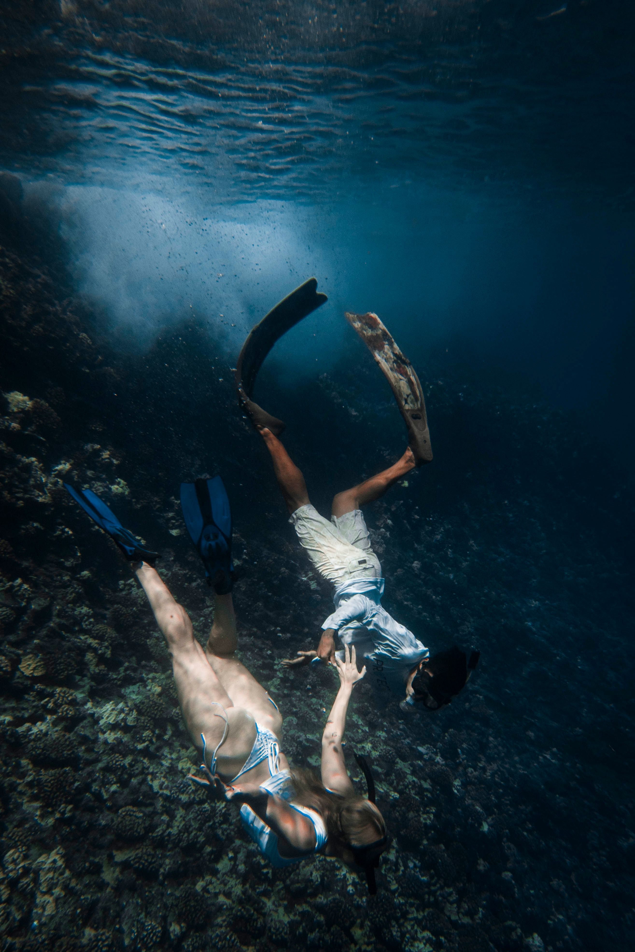 Person Scuba Diving · Free Stock Photo
