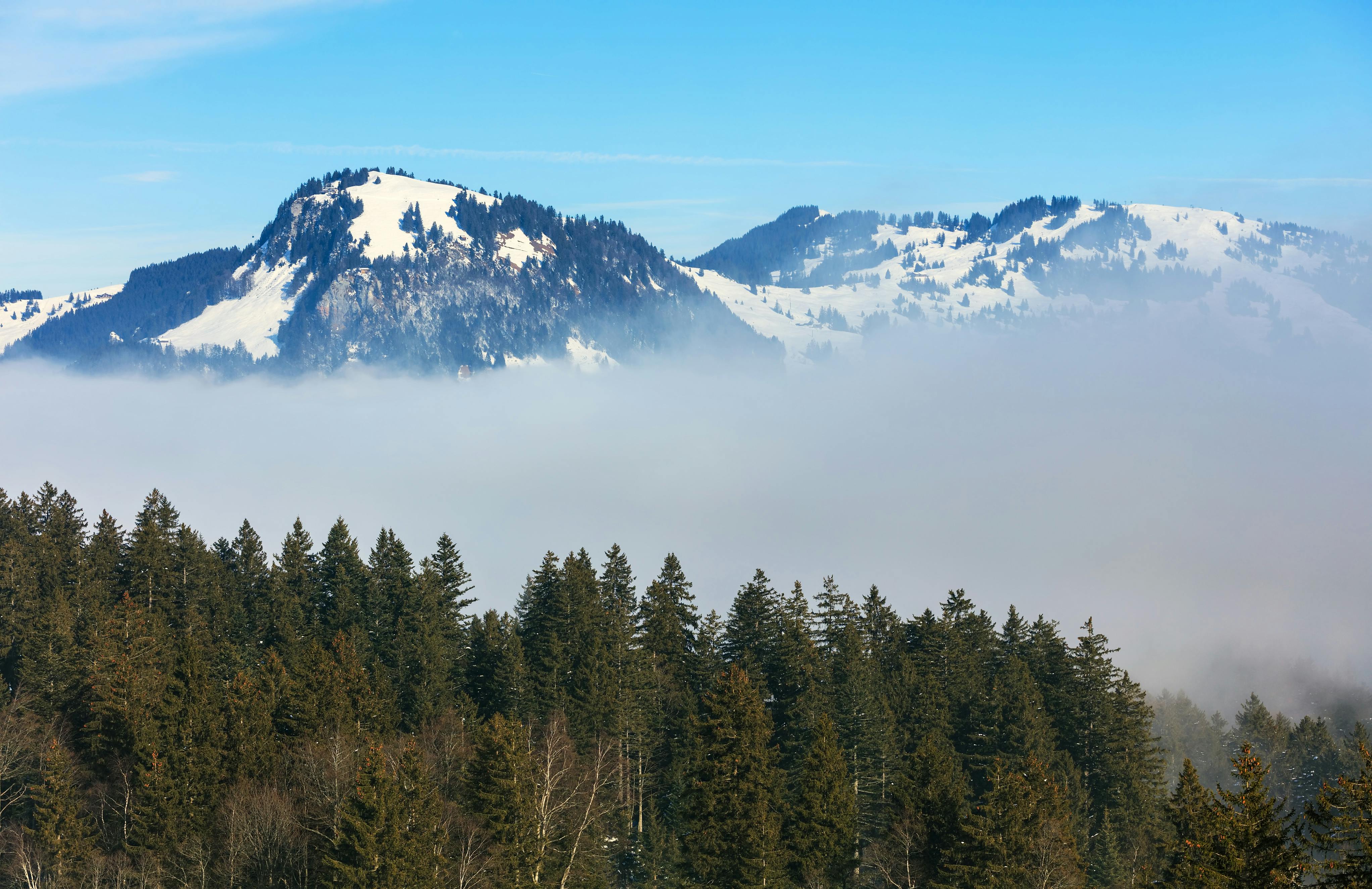 Kostenloses Foto zum Thema: abhang, alpen, alpin