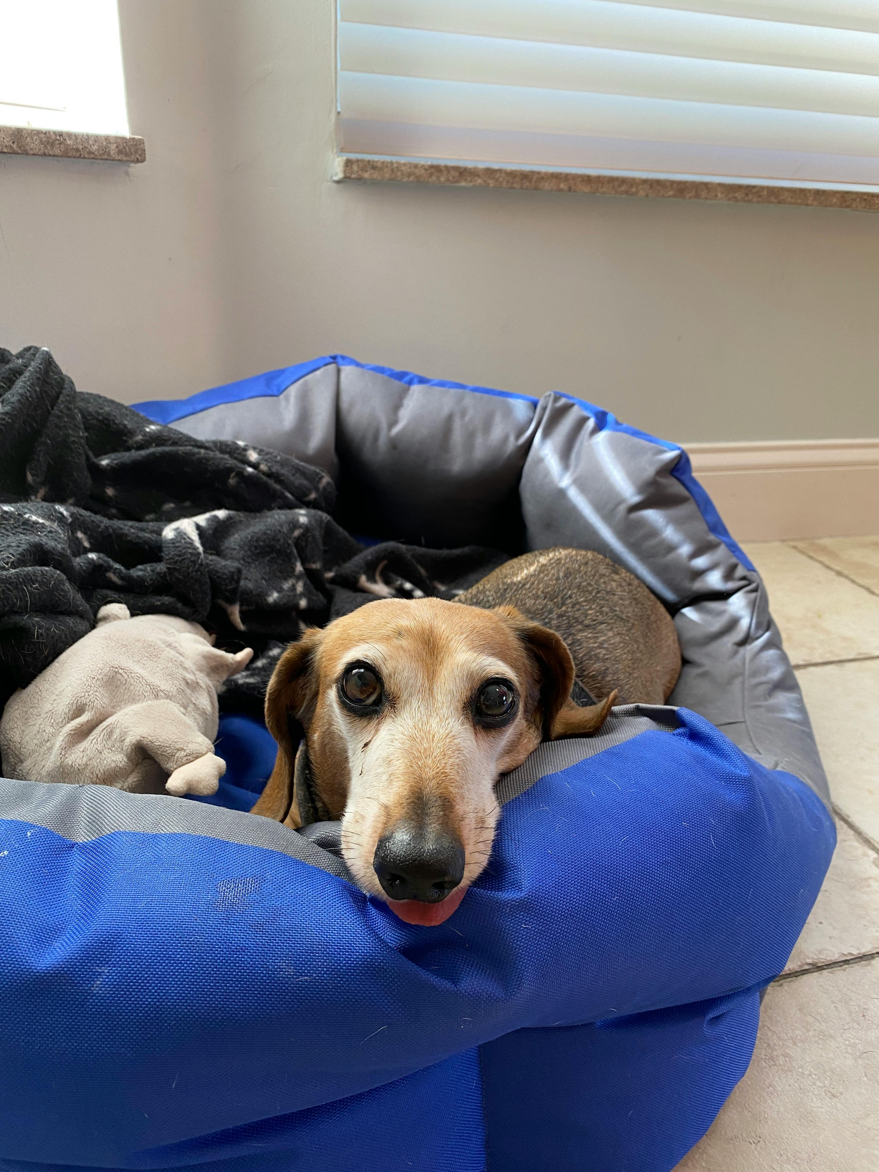 Christopher Salerno - Fotografía