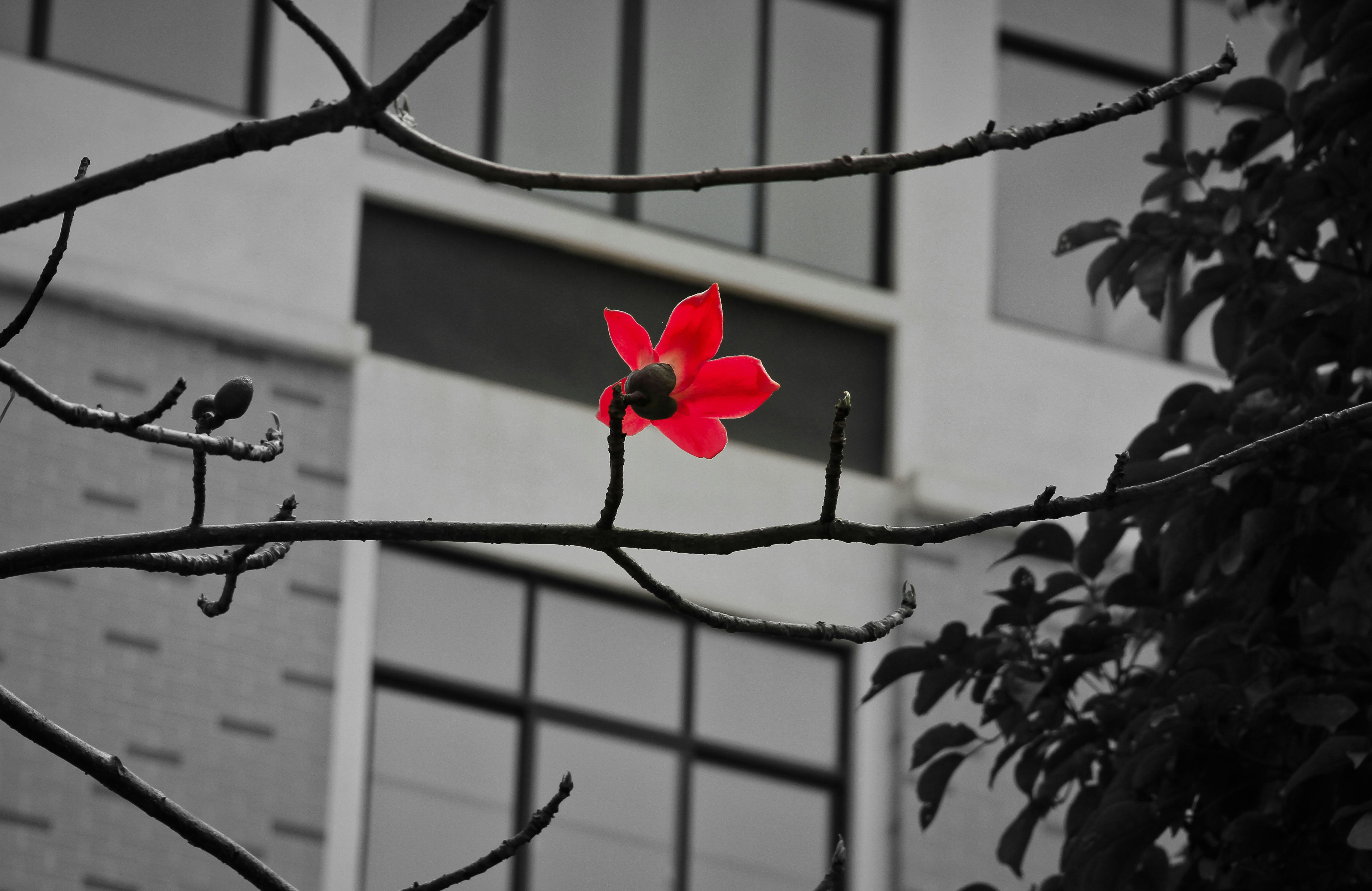 Leo Zhao - Photographie