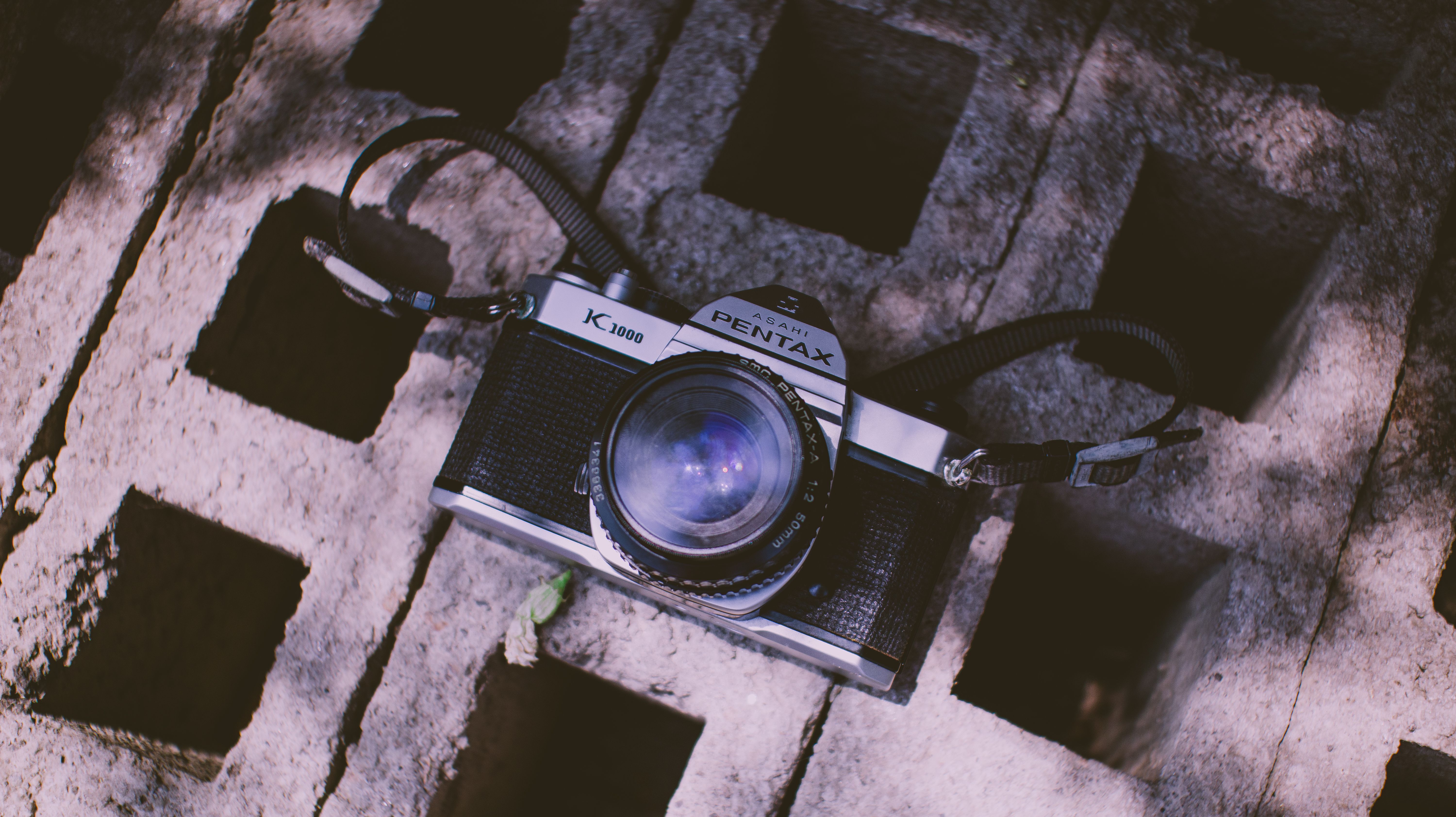 Name Strap Photos, Download The BEST Free Name Strap Stock Photos & HD ...