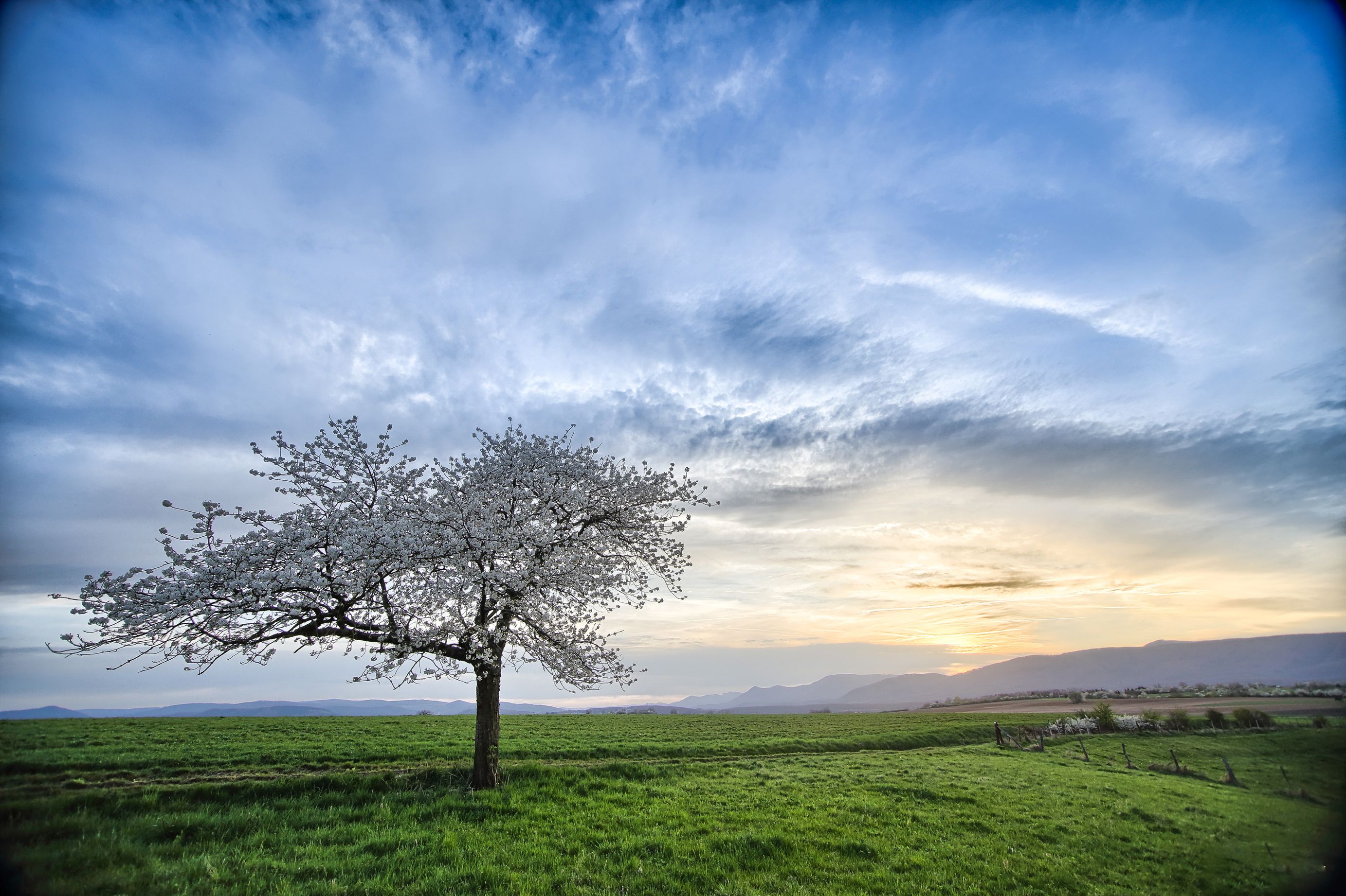 Cinematic Grass Landscape Photos, Download The BEST Free Cinematic ...