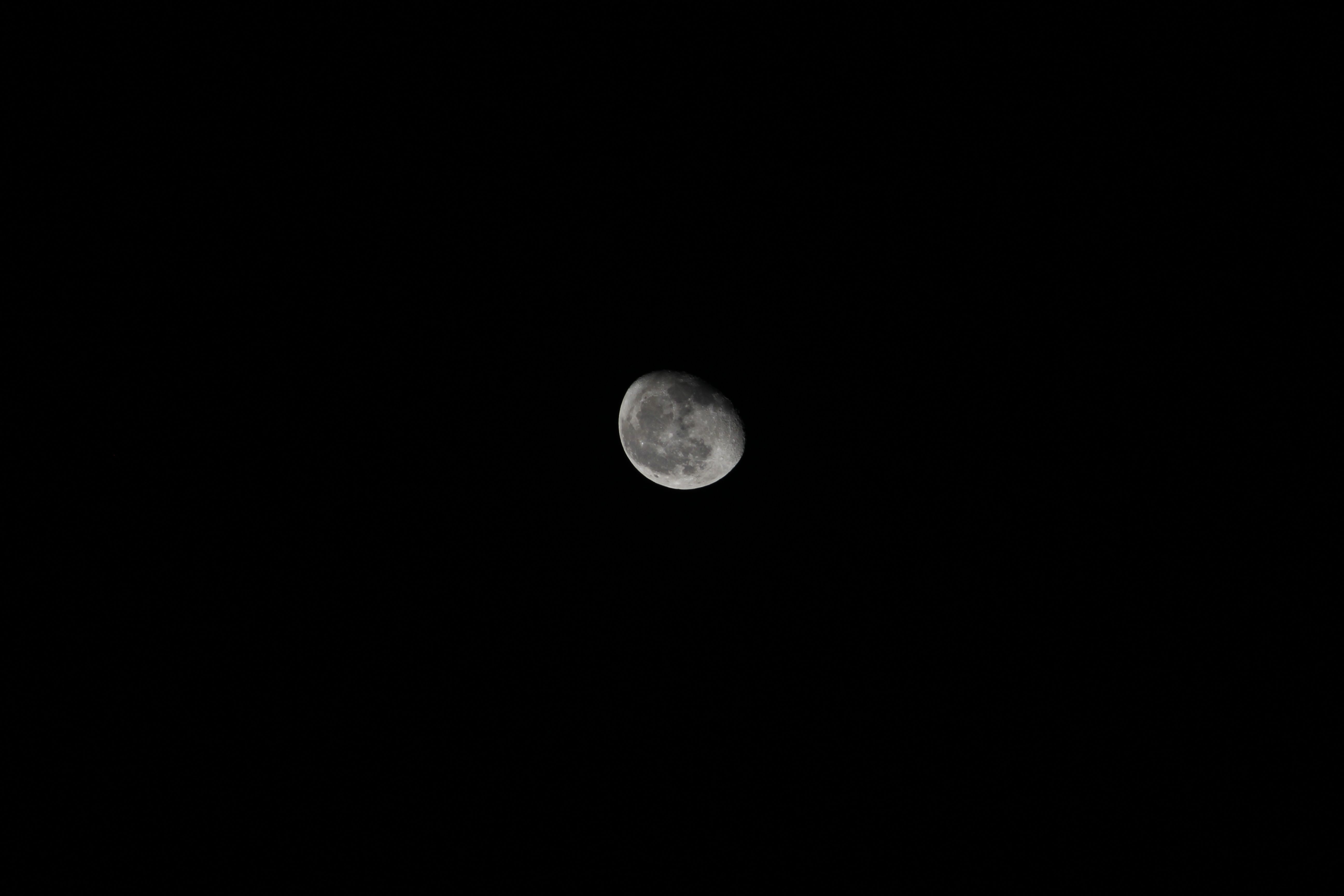 Full Moon · Free Stock Photo