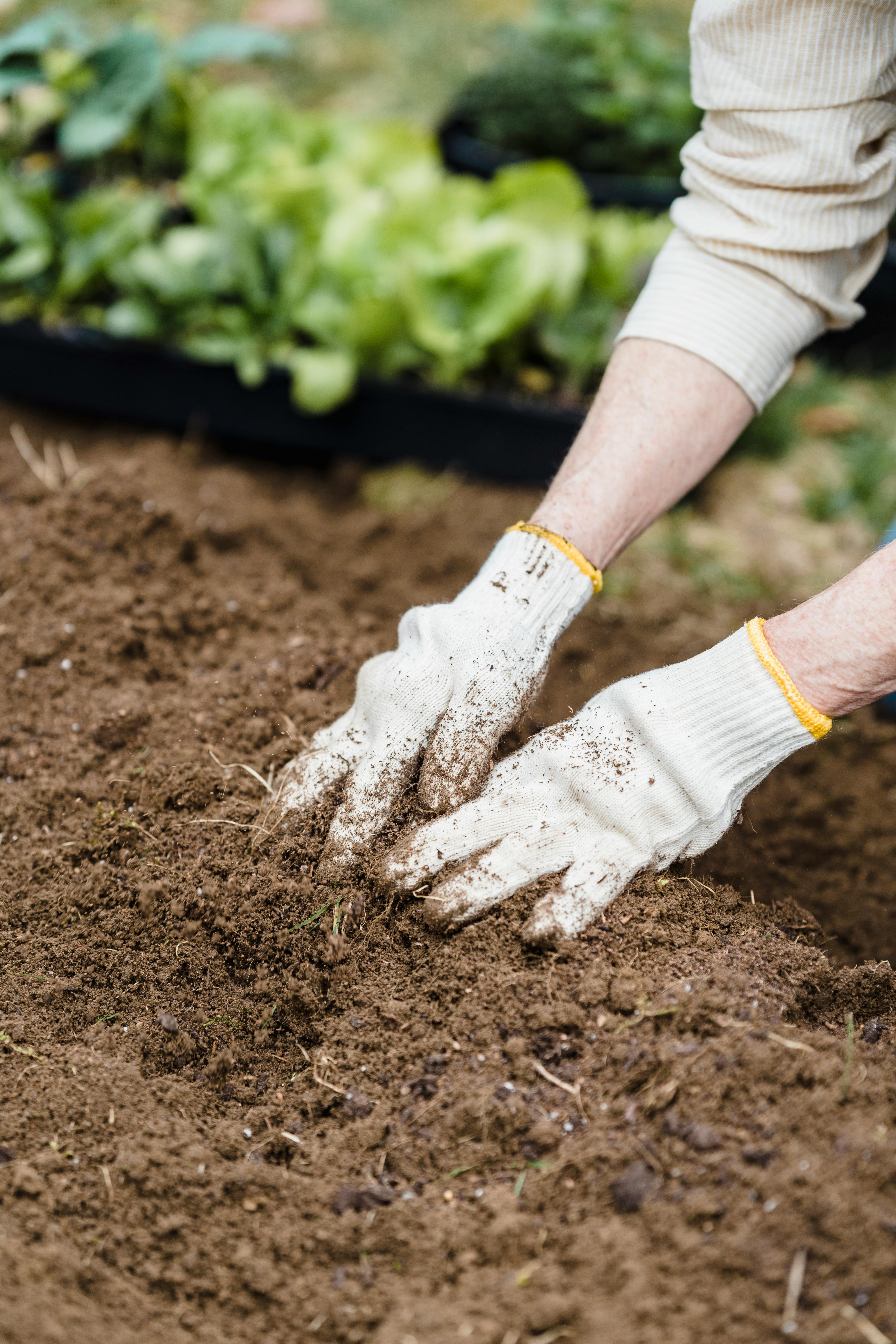 Crop farmer preparing soil for planting · Free Stock Photo