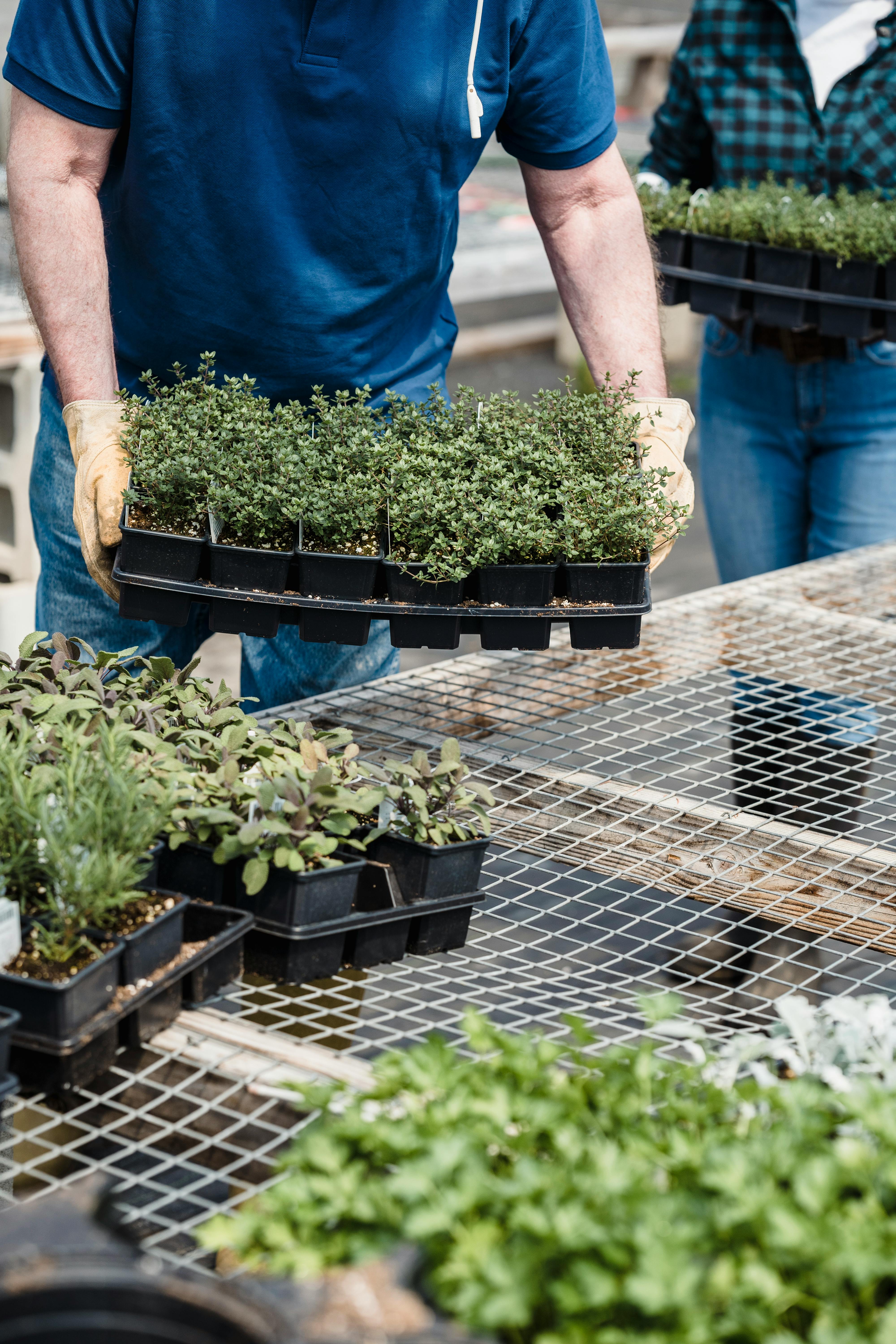 Farmers with Pots with Plants · Free Stock Photo