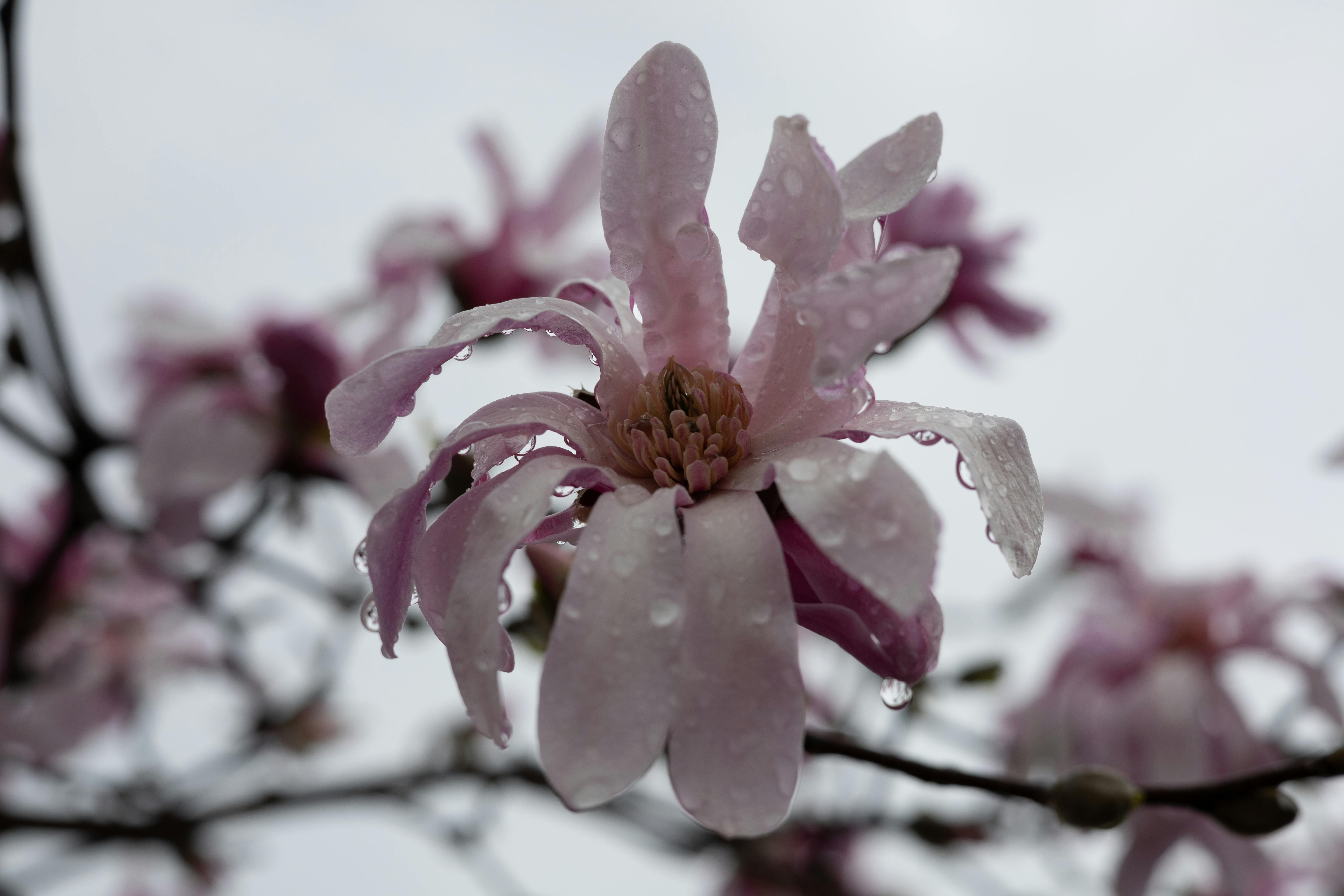 John Griffiths - Photography