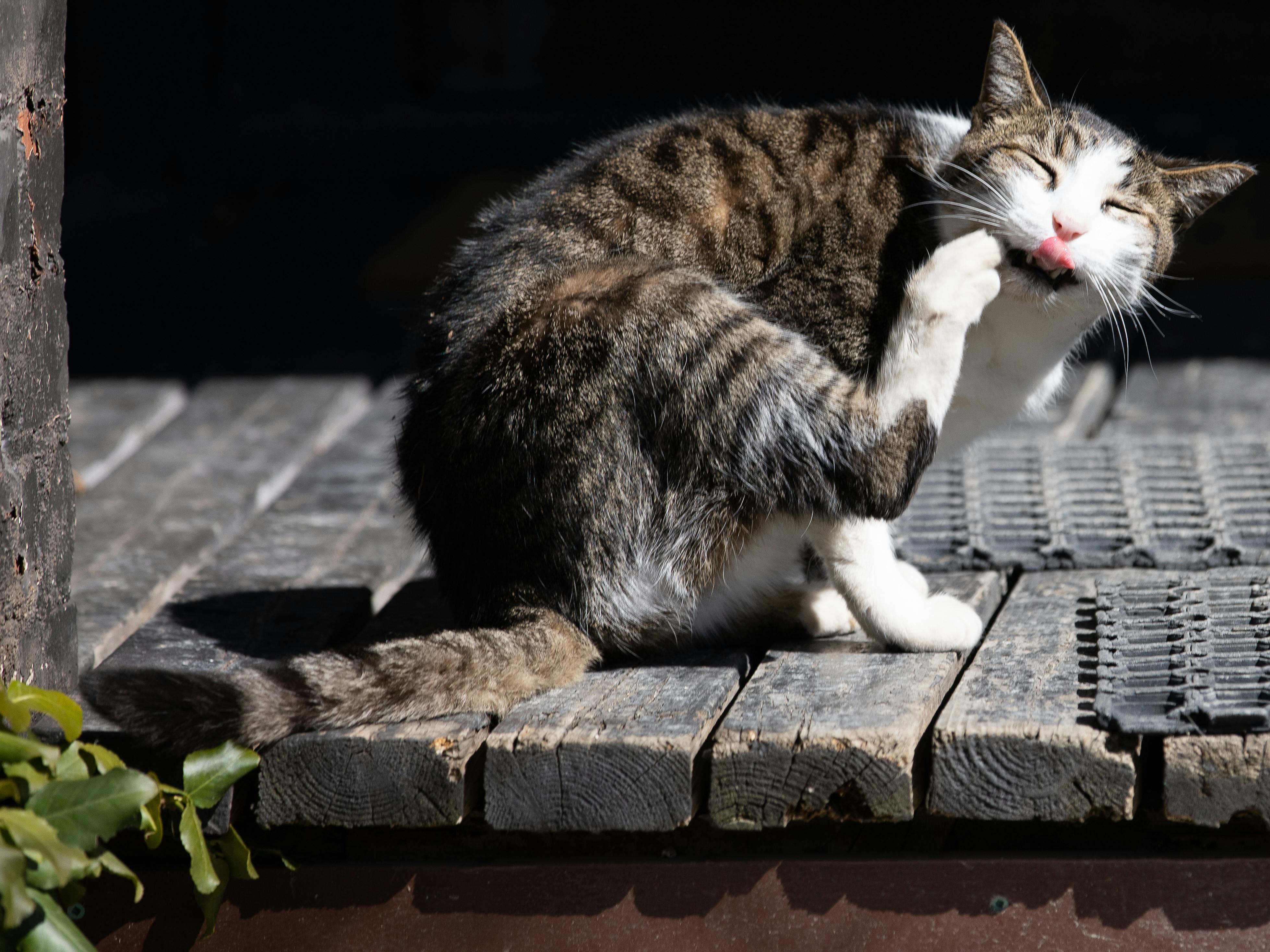 John Griffiths - Photography