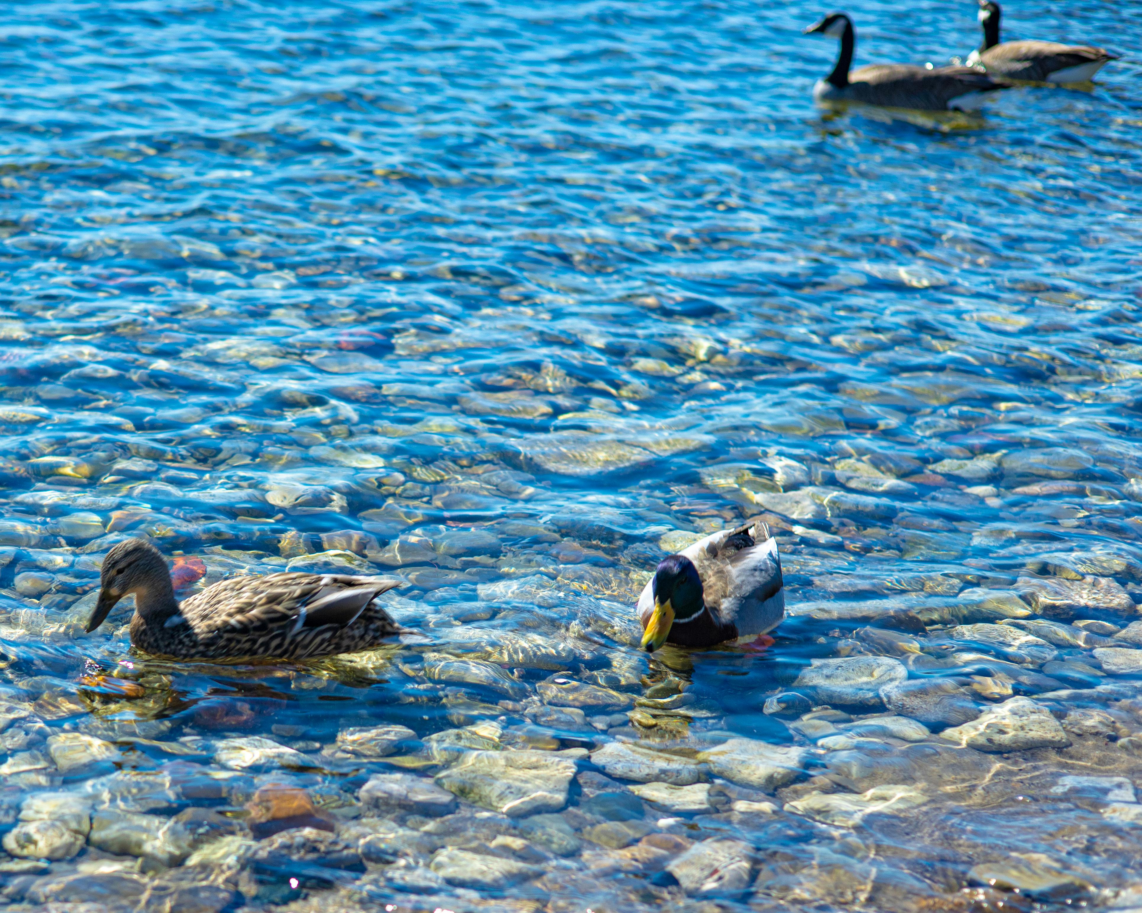 John Griffiths - Photography