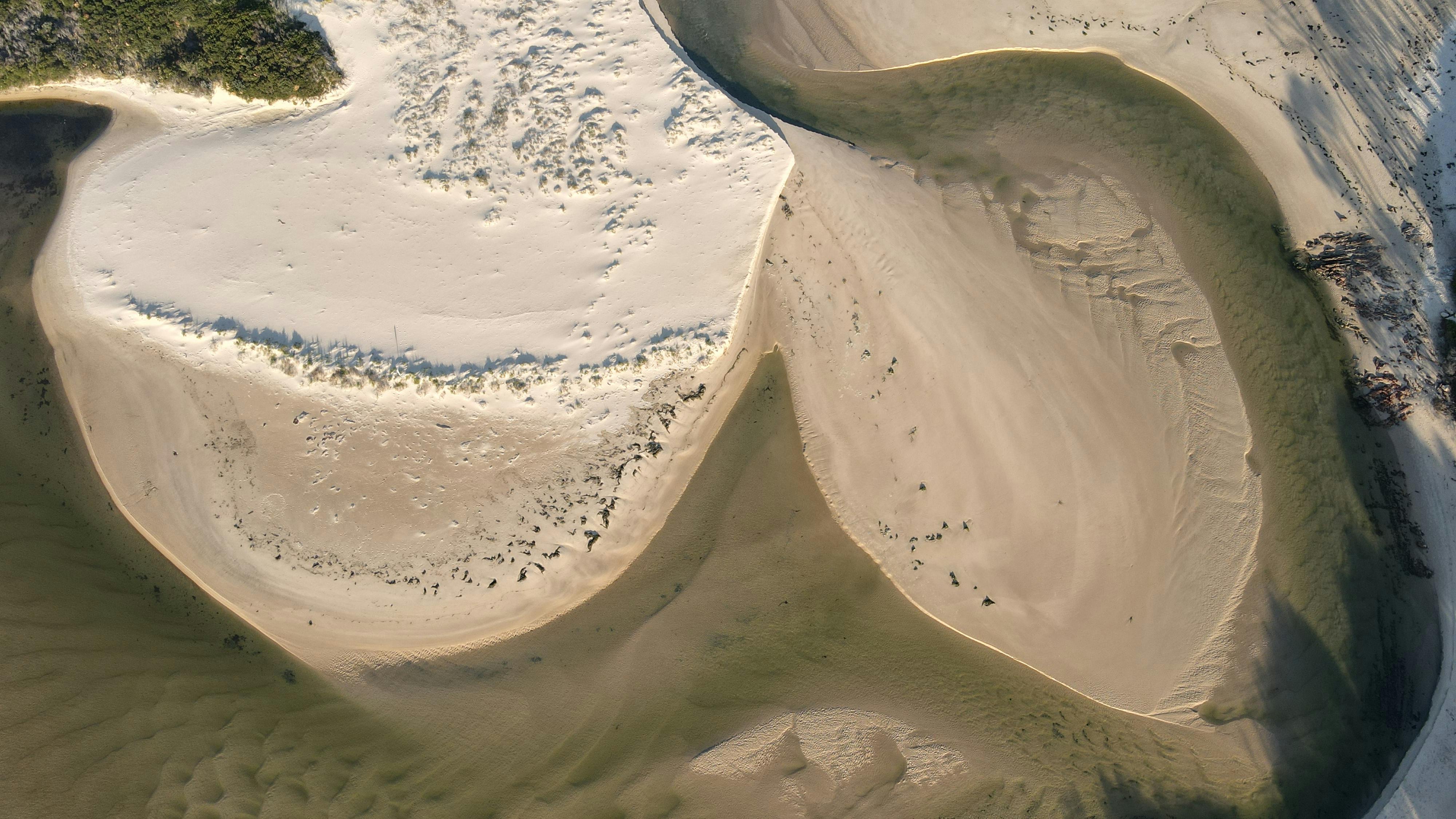 Aerial Photography of a Beach · Free Stock Photo