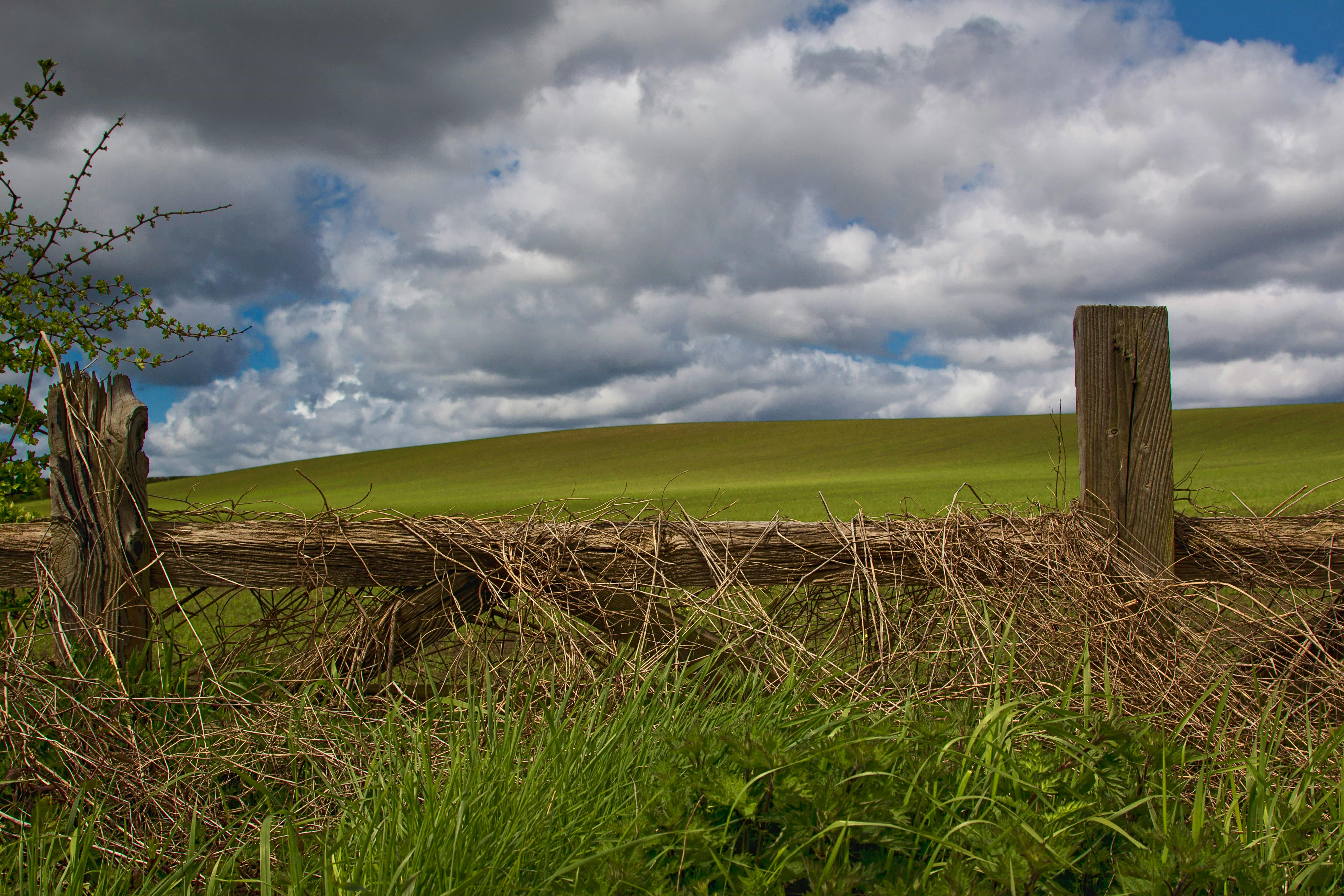 Free stock photo of fenced off