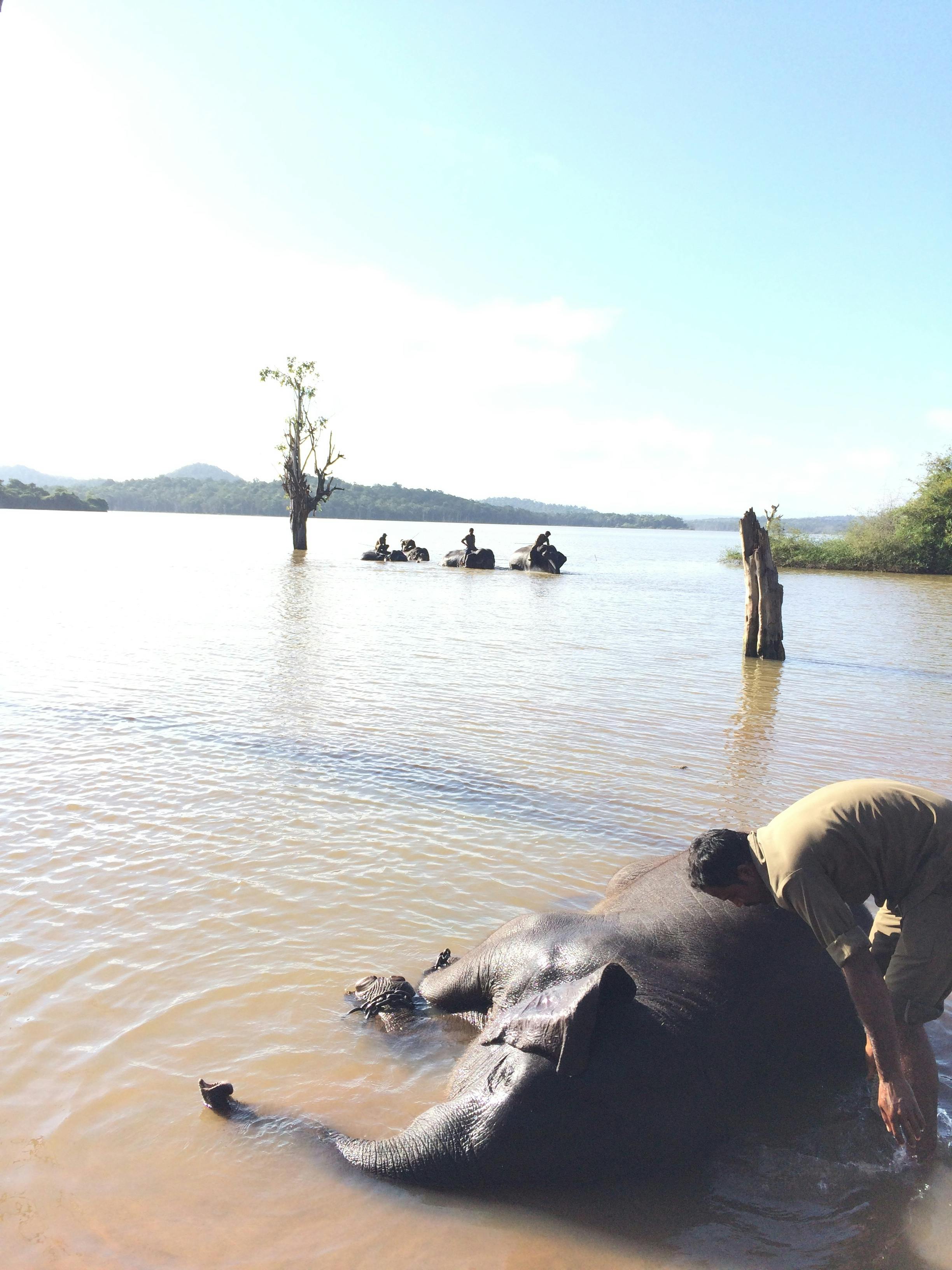 Kallesh - Photography