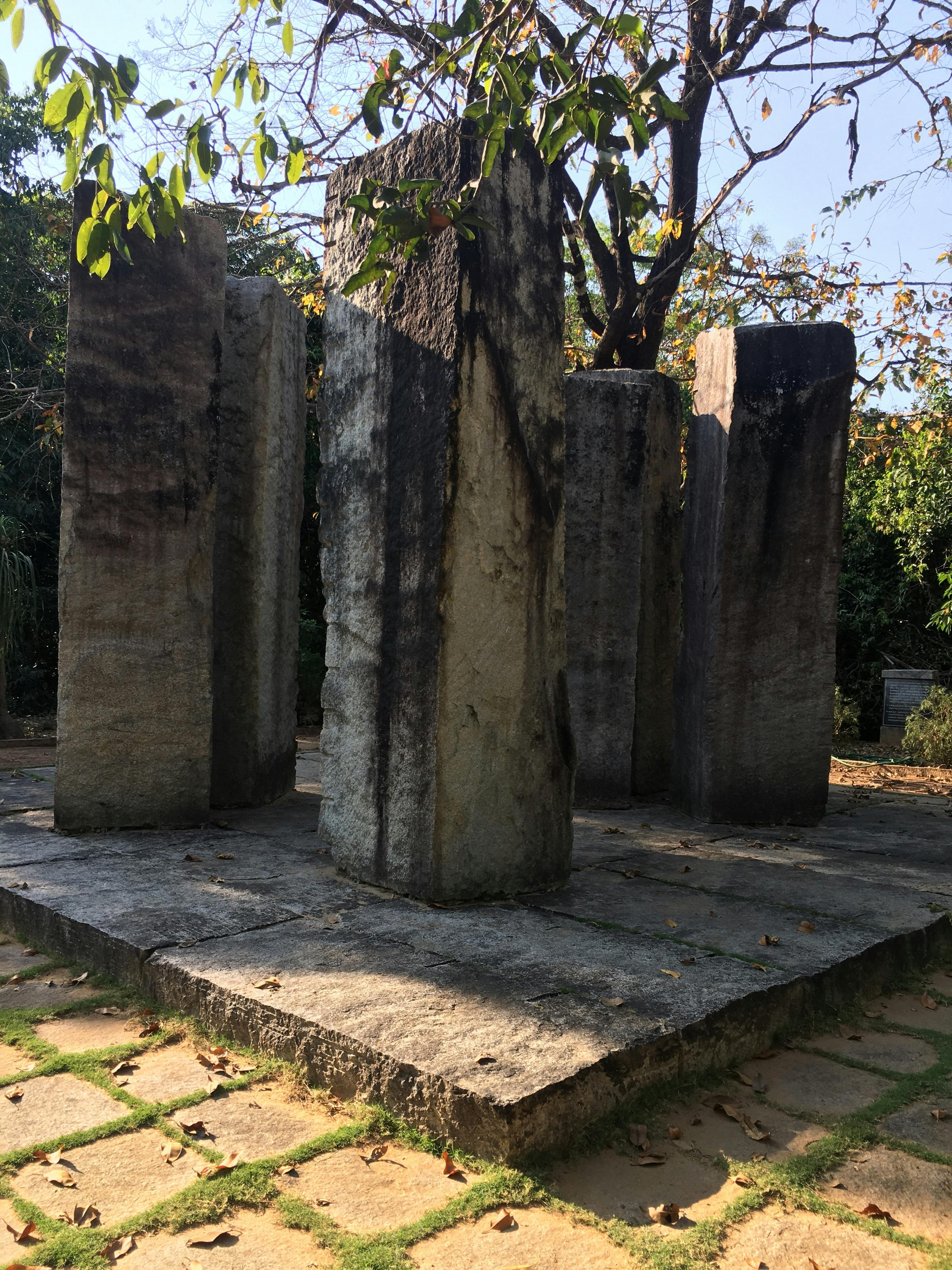 Kallesh - Photography