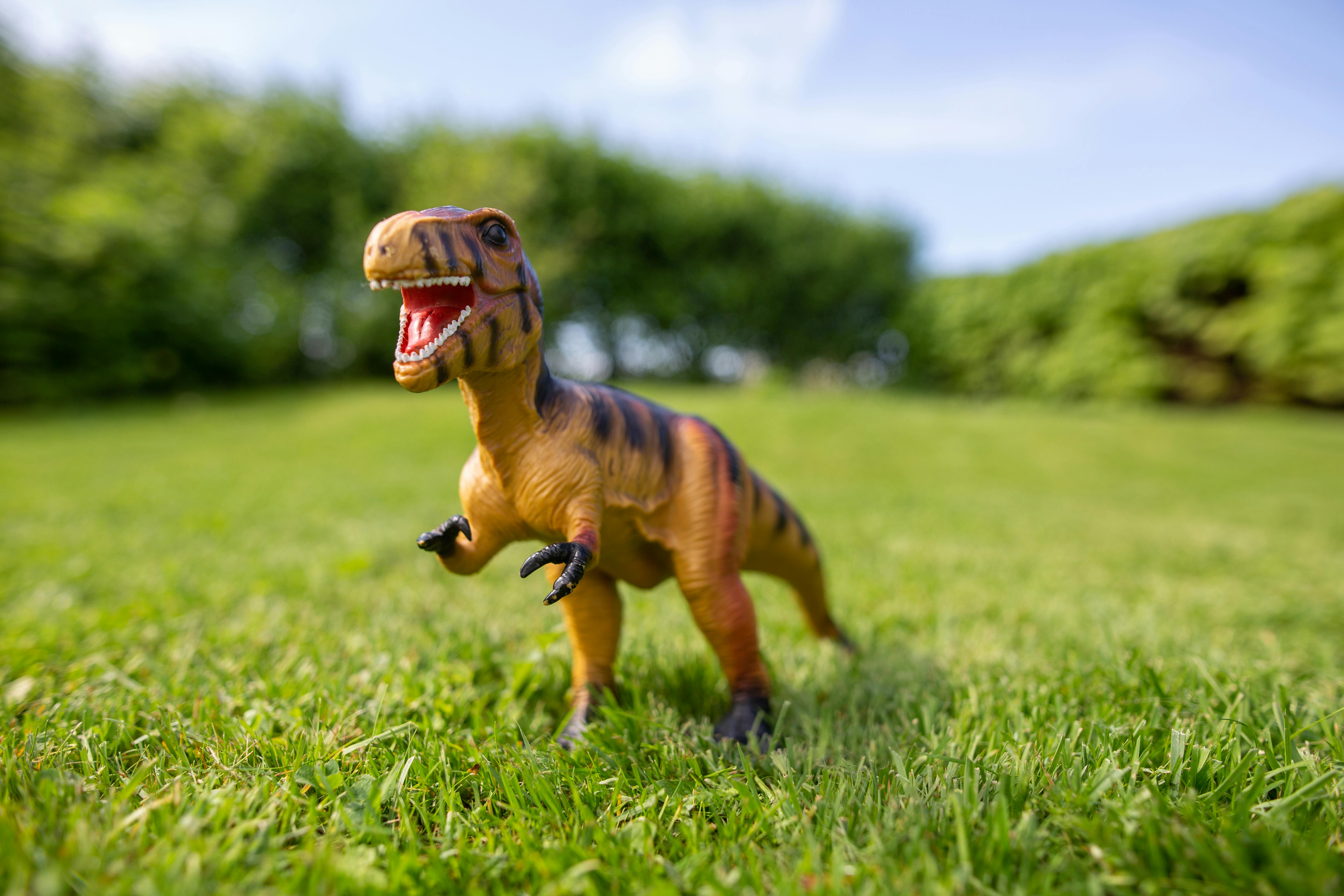 10+ Fotos y Imágenes de Saurio Gratis · Banco de Imágenes Gratis · Pexels