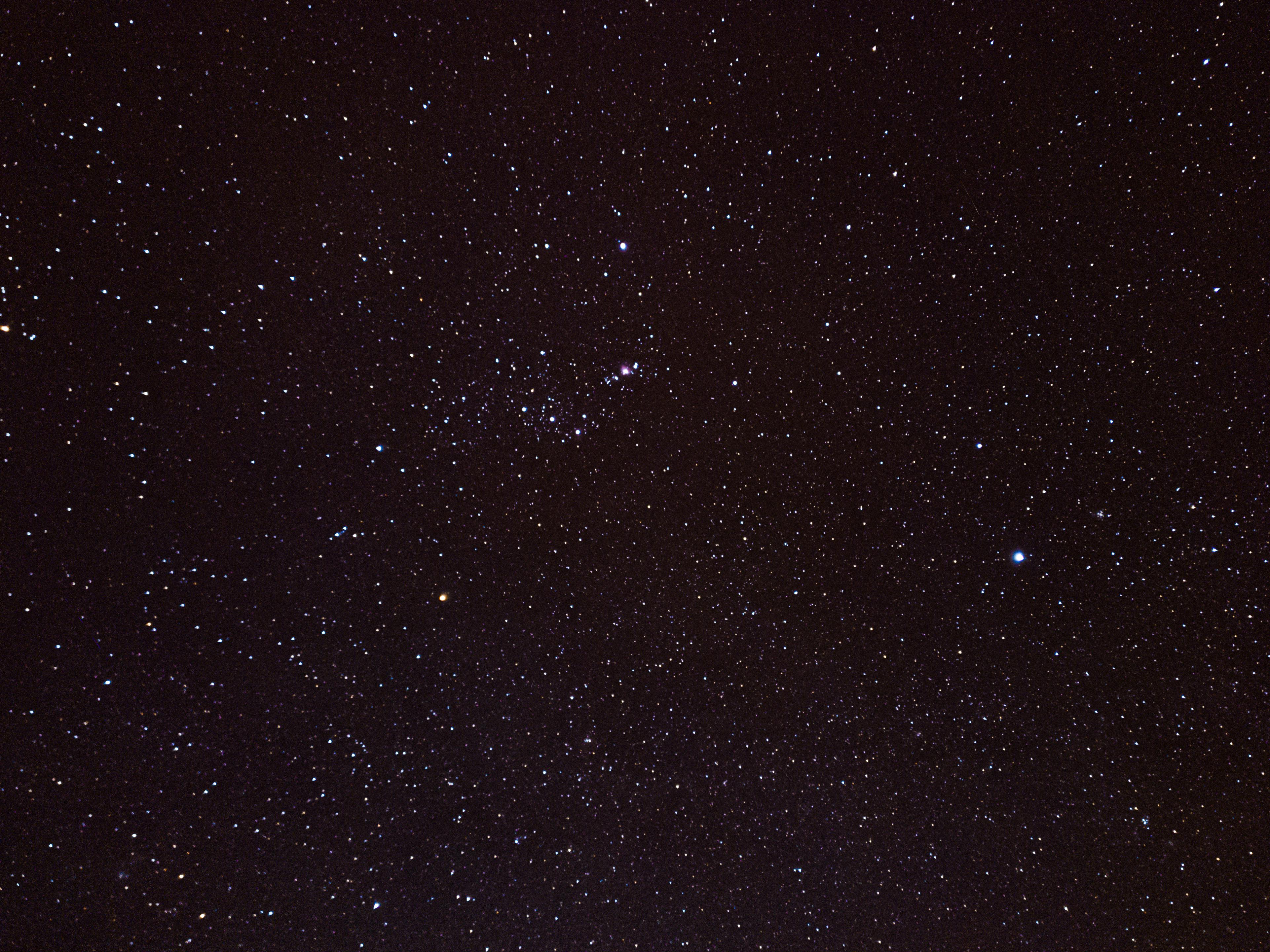 Stars Across the Night Sky · Free Stock Photo