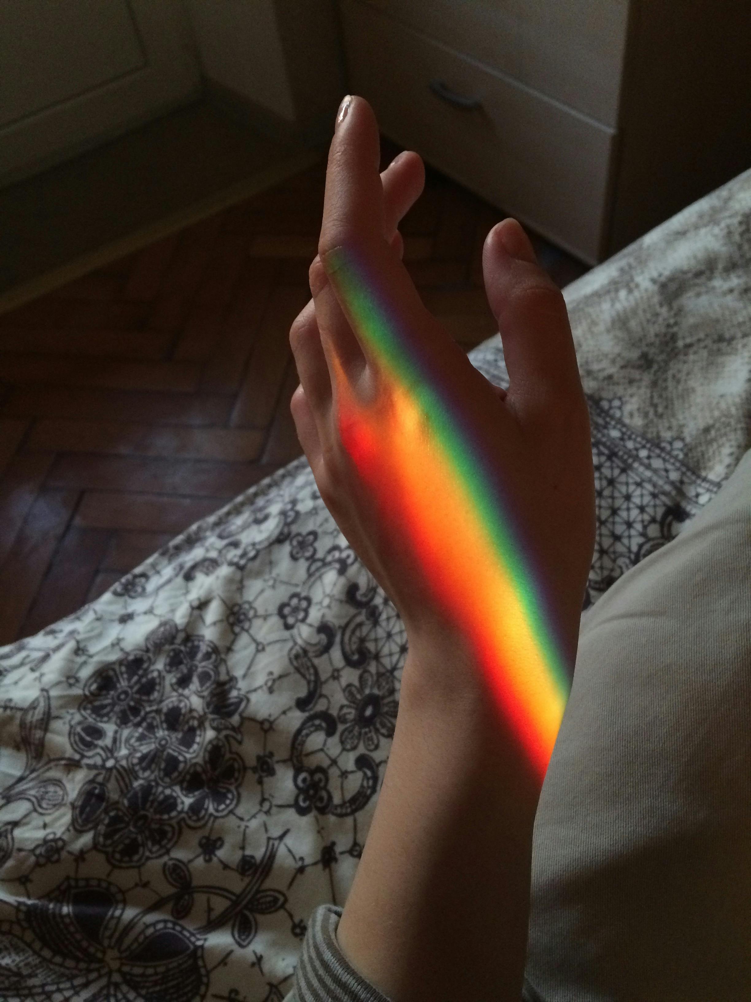 Colorful Light on a Persons Hand · Free Stock Photo