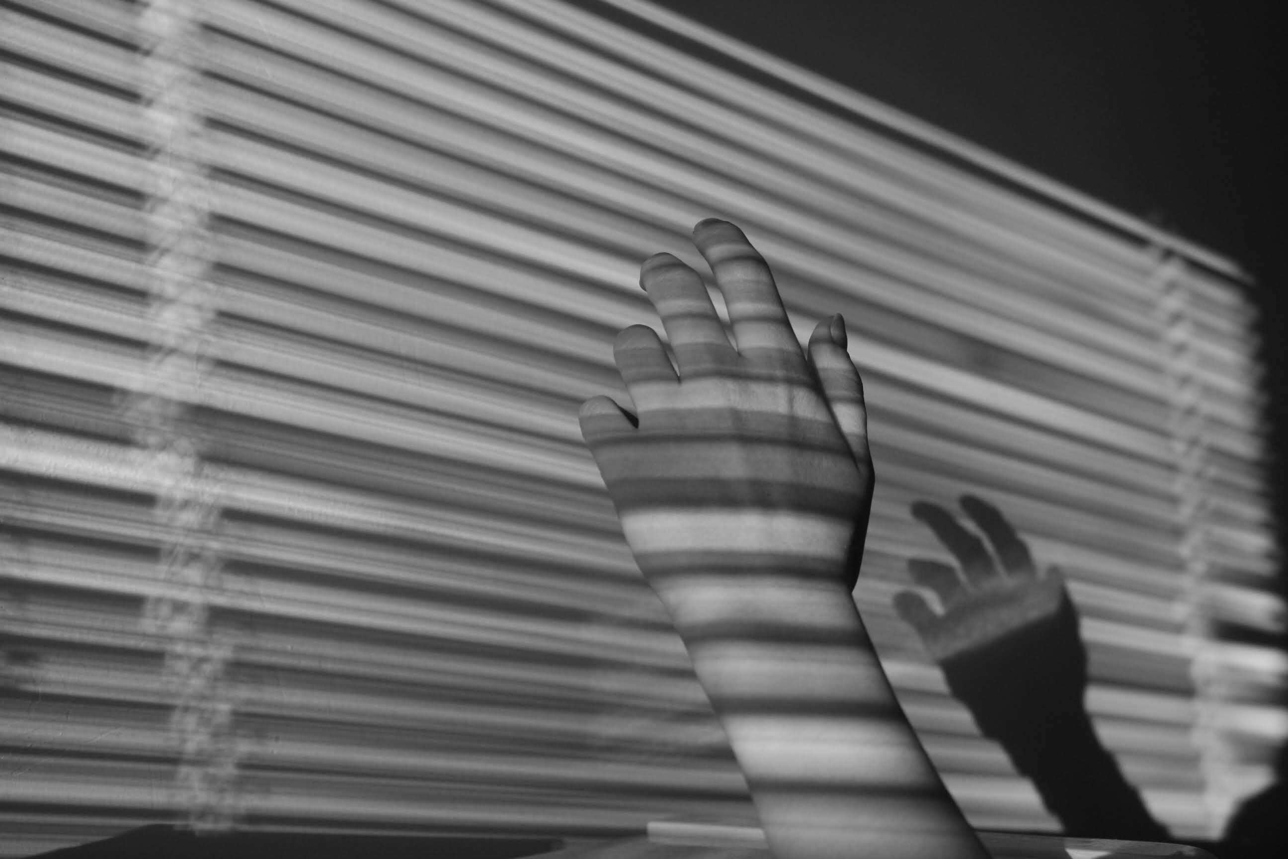 A Grayscale Photo of a Hand · Free Stock Photo