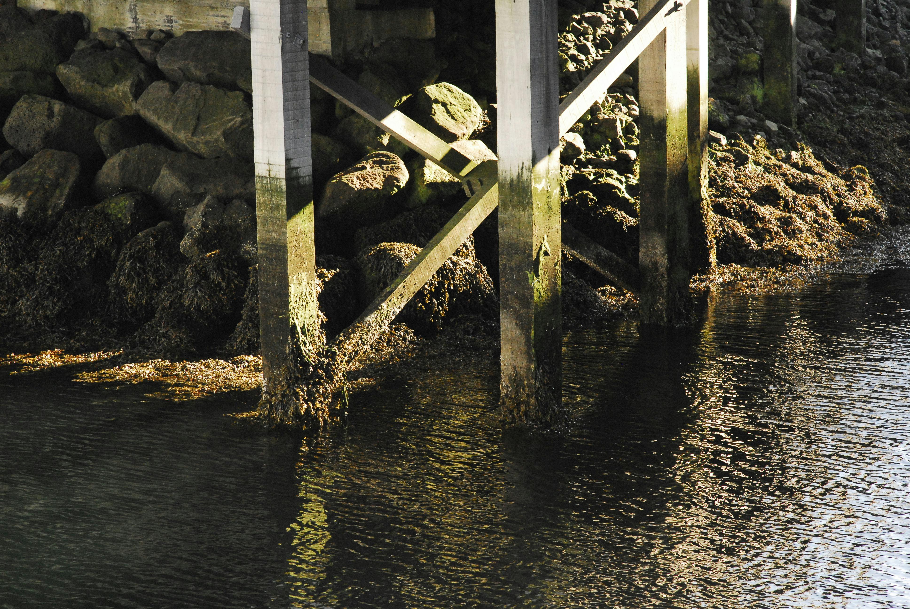 Hulda Hlin Magnusdottir - Photography