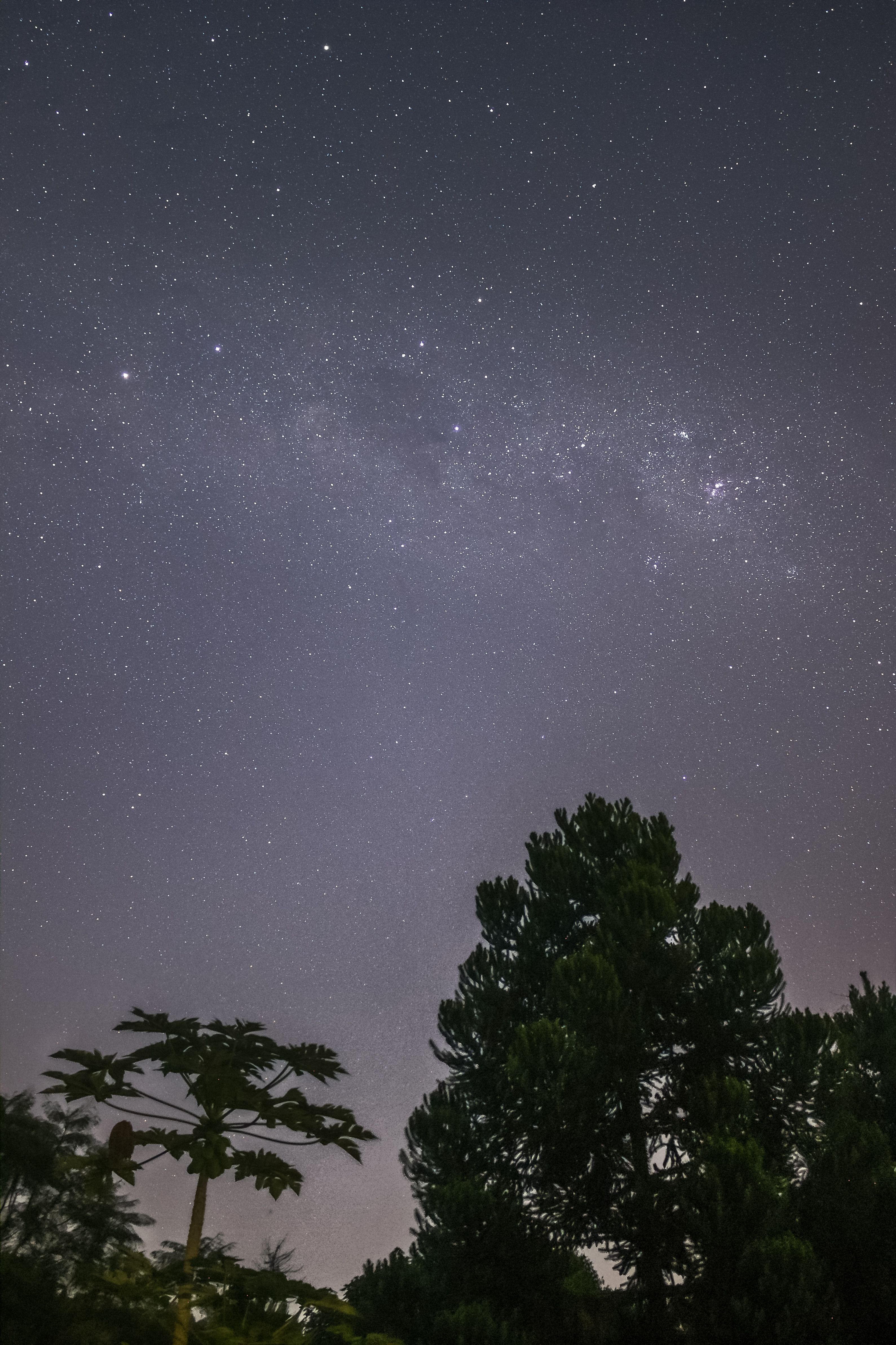 Stars in the Night Sky · Free Stock Photo