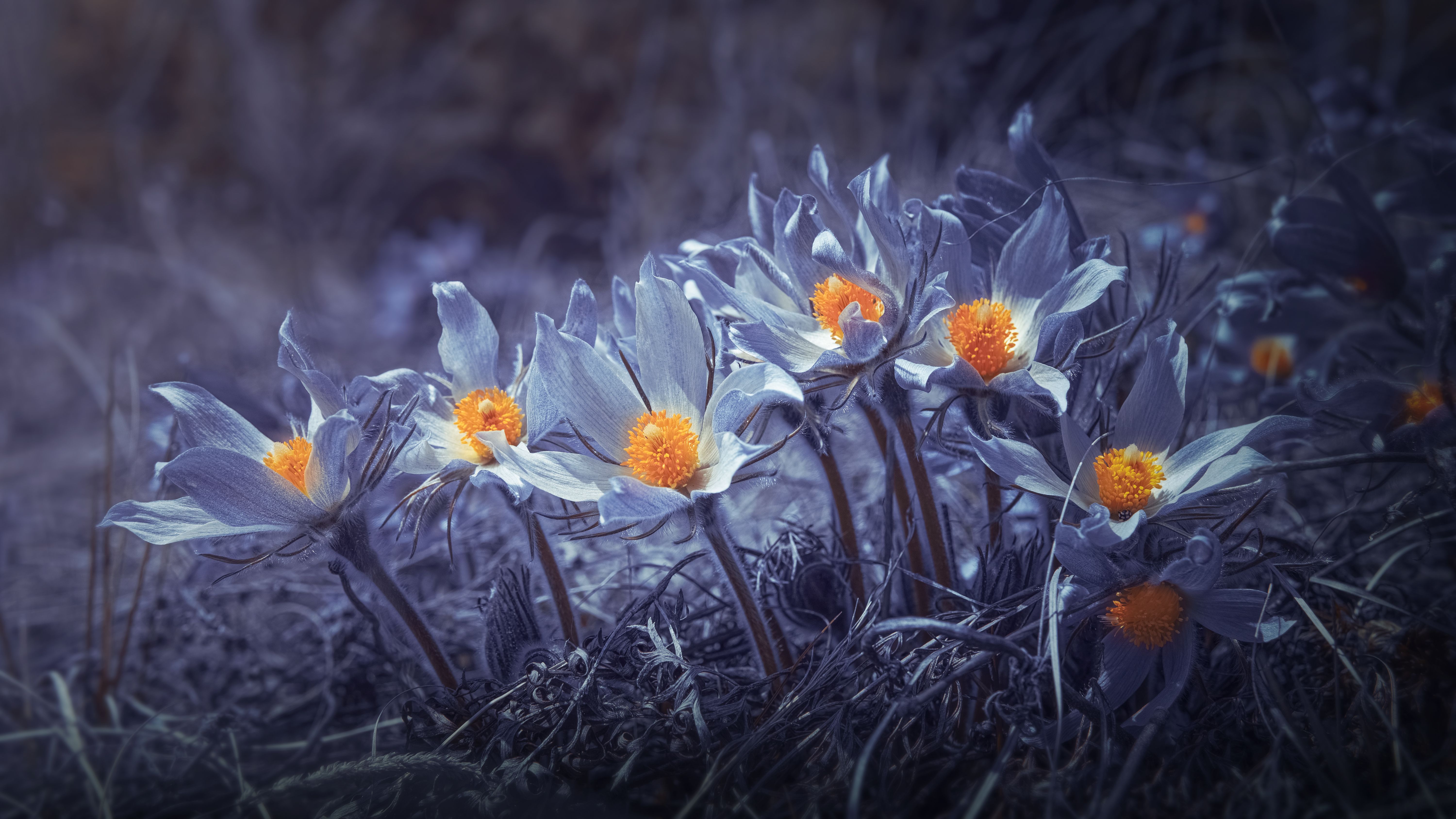 Dmitry Demidov · Photography