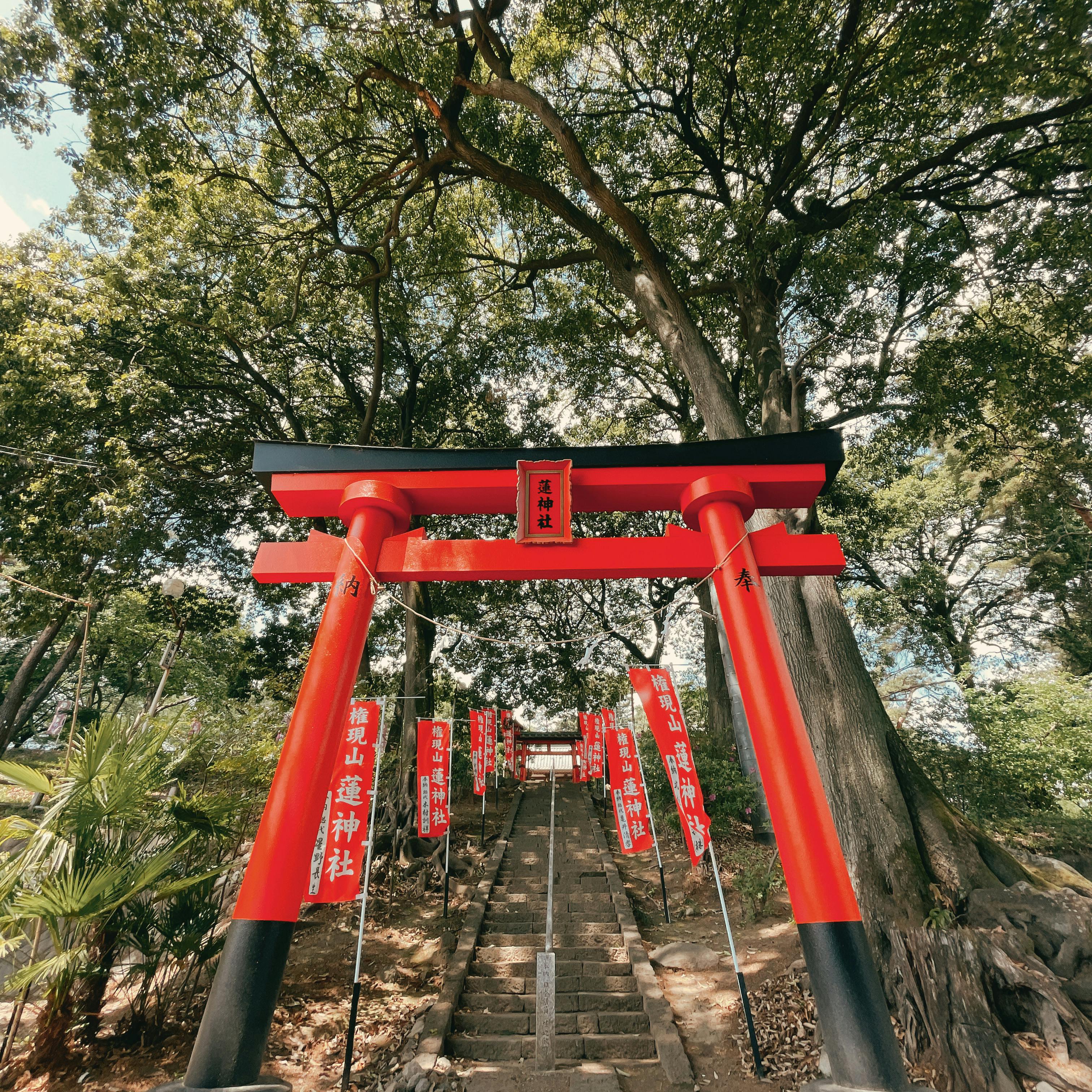 A Traditional Japanese Gate · Free Stock Photo