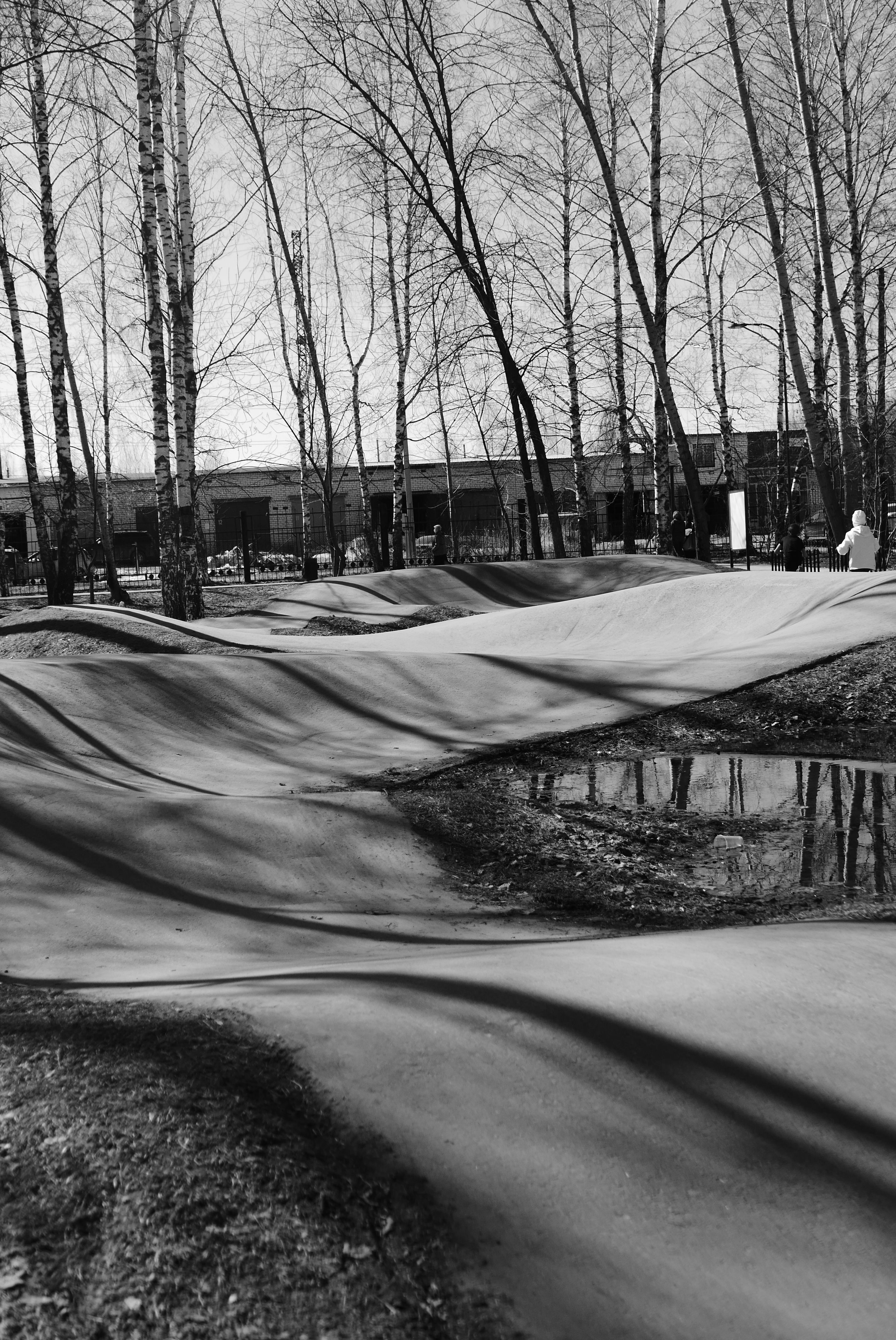 Slides on a Playground Near Trees · Free Stock Photo