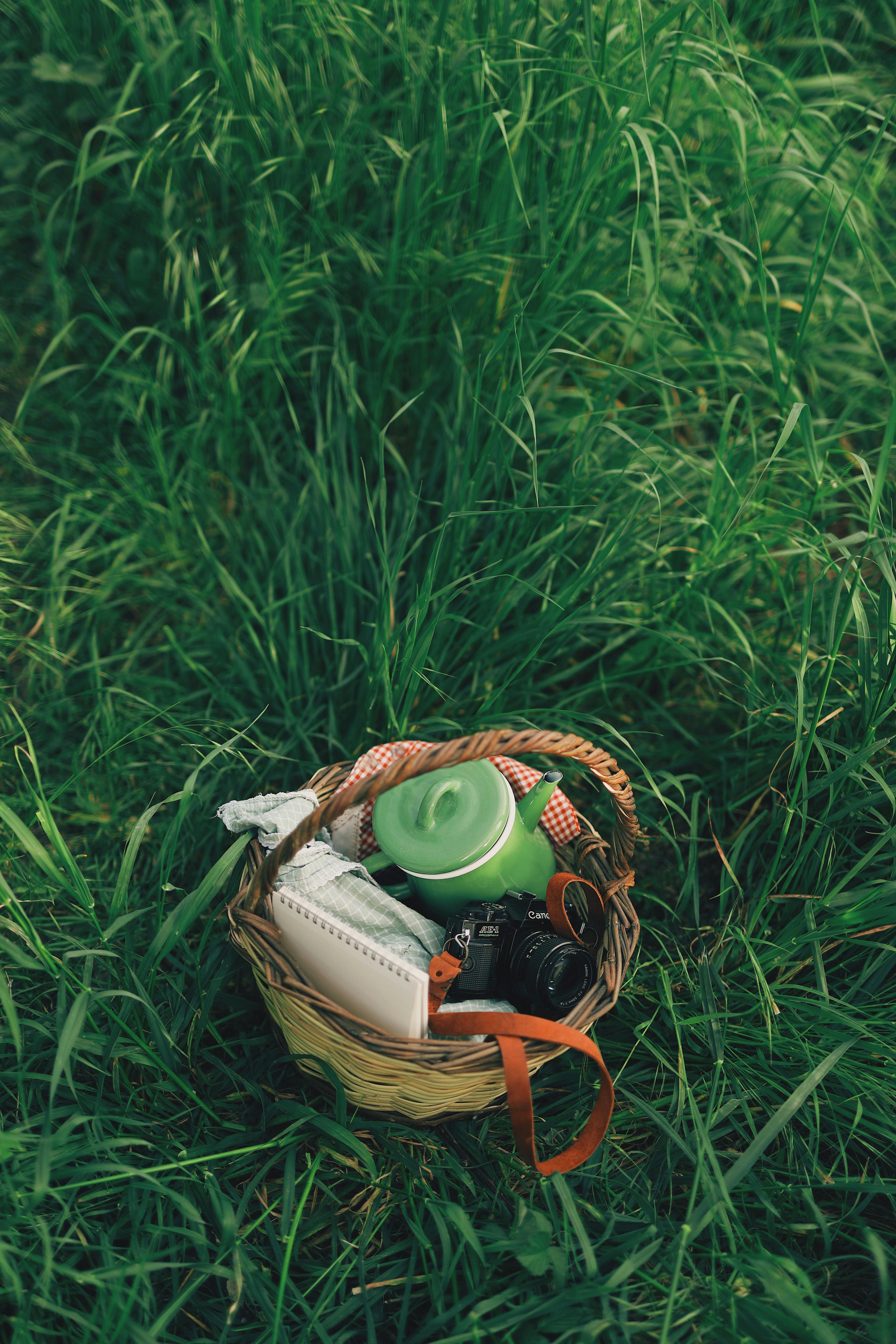 Basket with teapot and photo camera placed on green grass in daytime ...