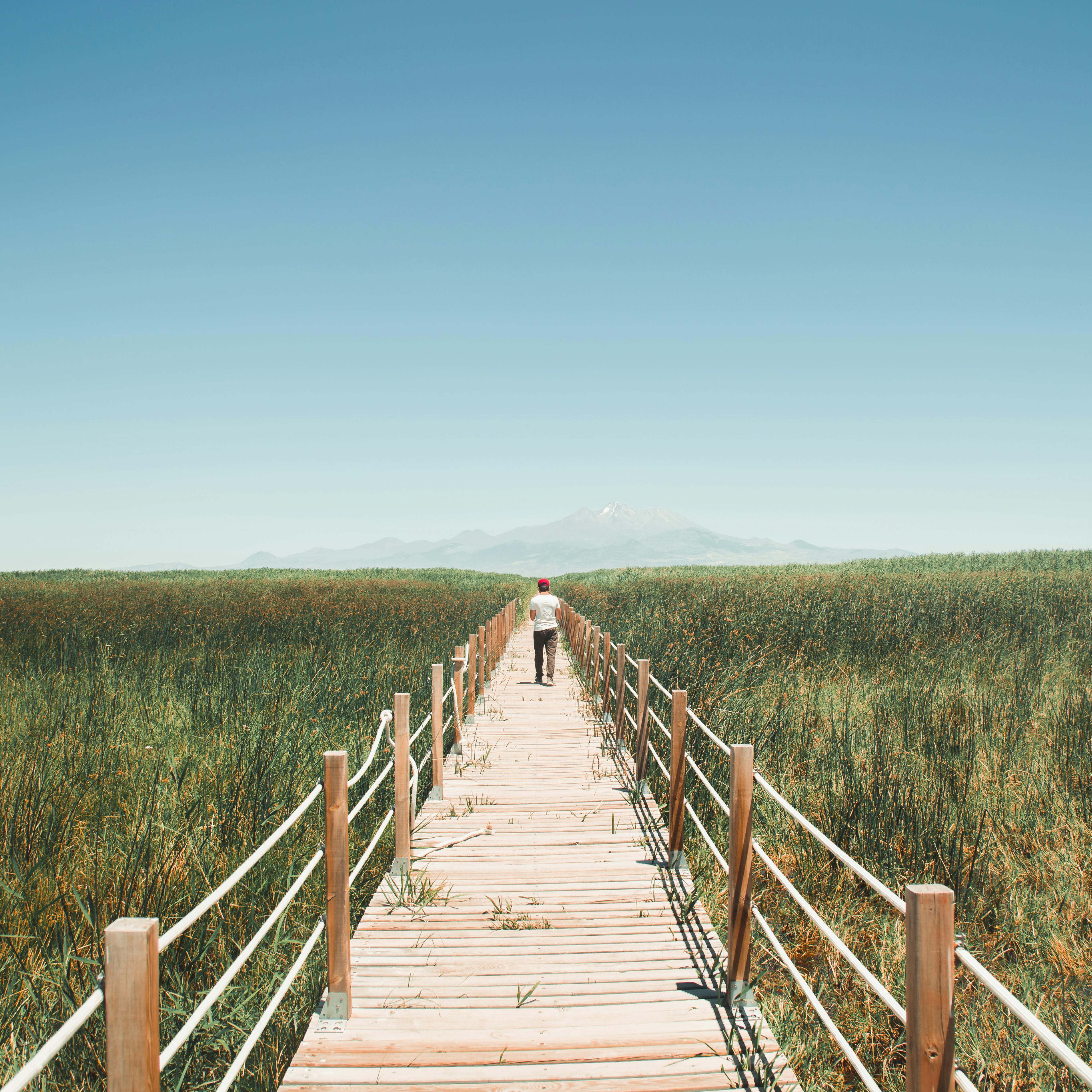 Person In The Field · Free Stock Photo