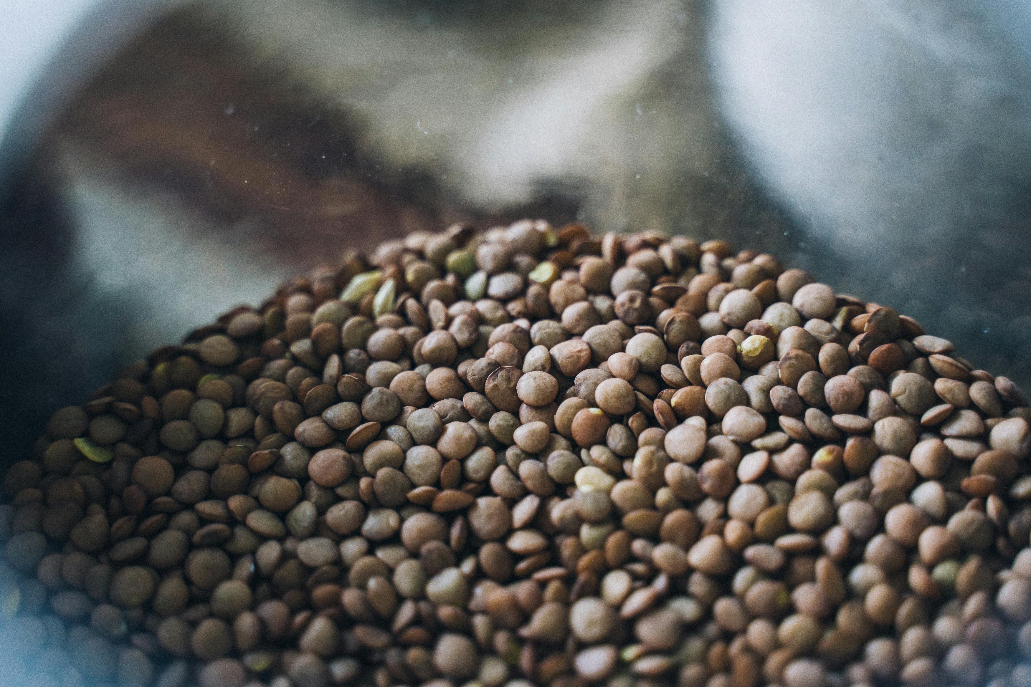 Brown Seeds in a Bottle · Free Stock Photo