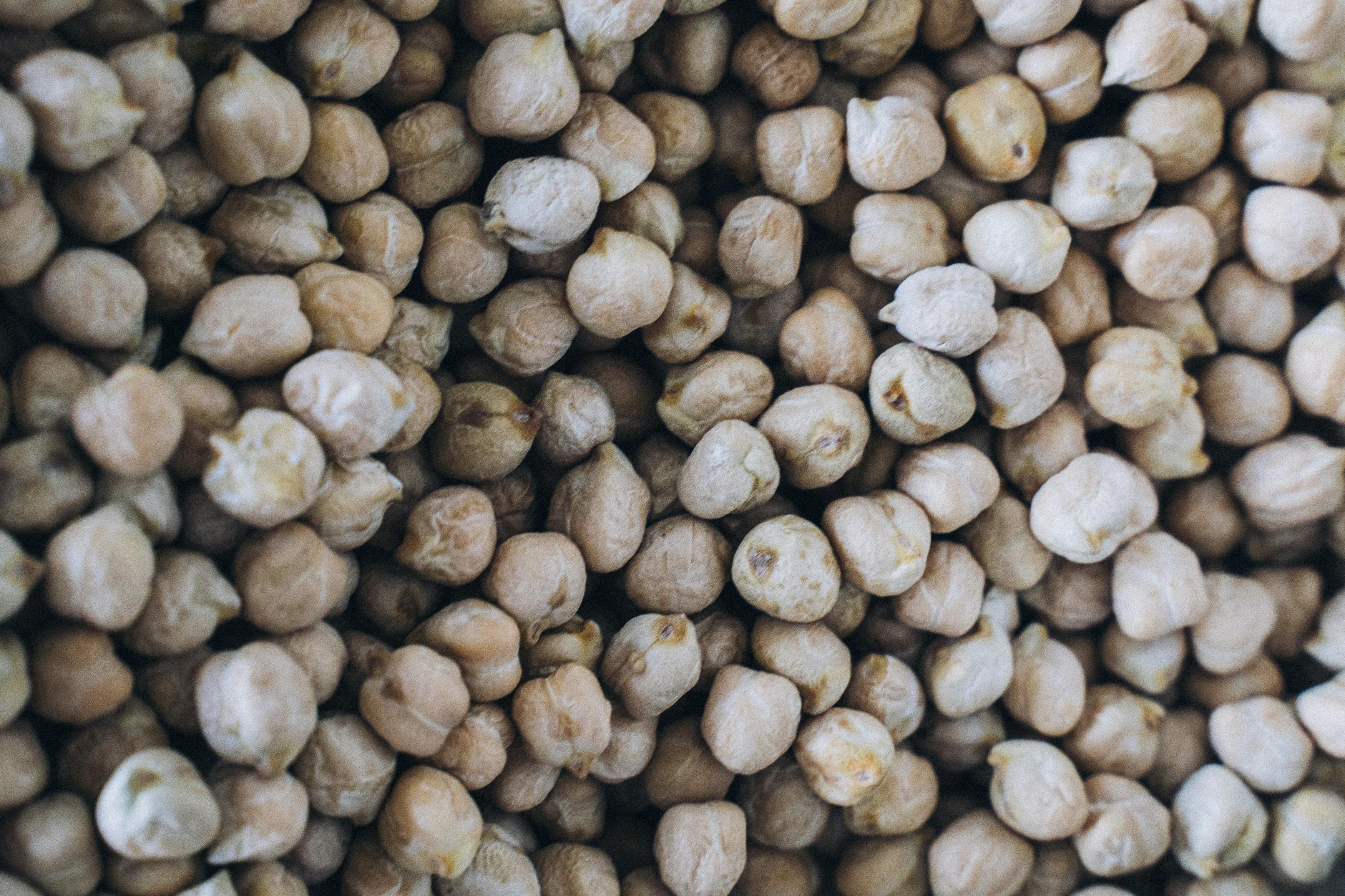 A Close-Up Shot of Chickpeas in a Bowl · Free Stock Photo