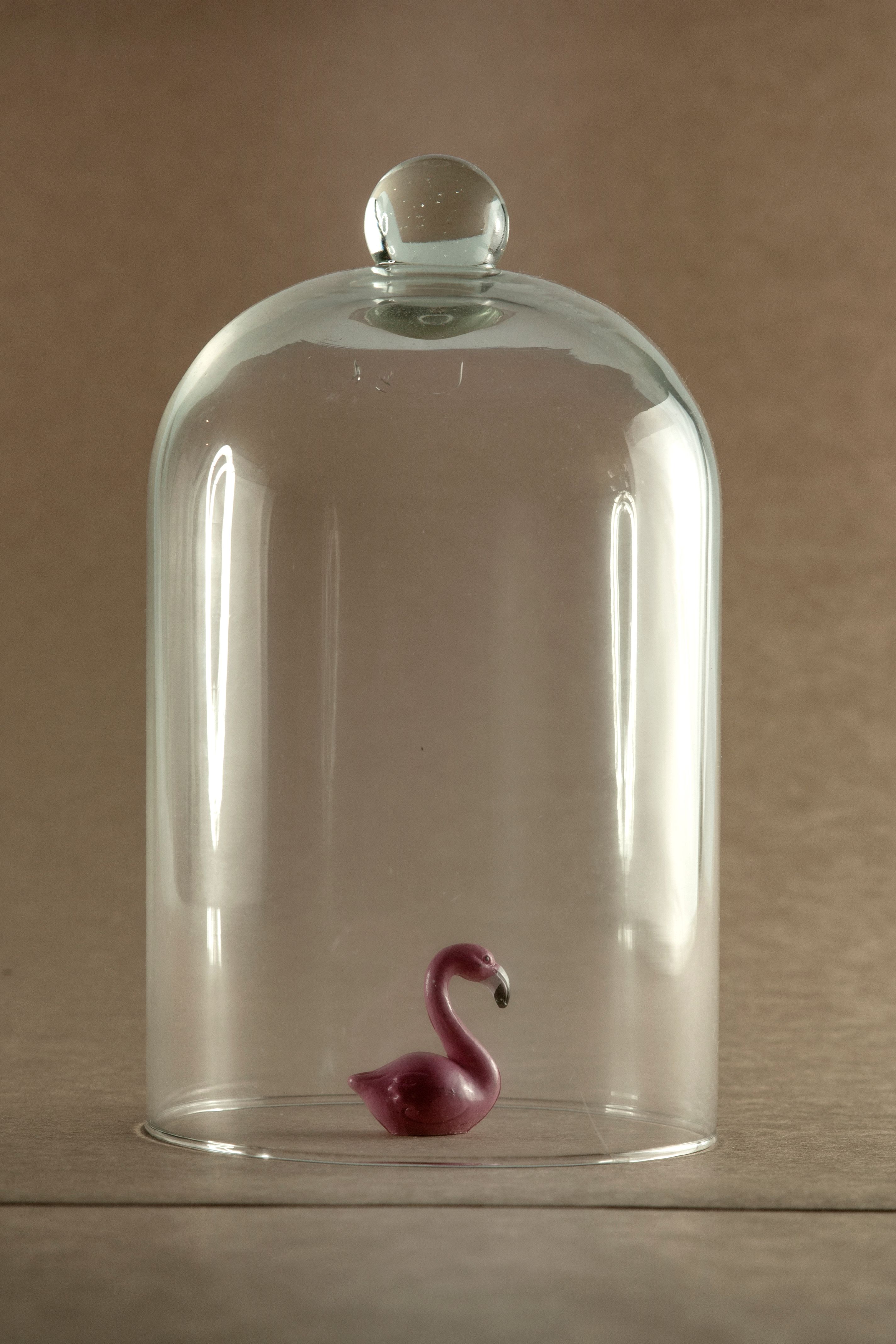 Flamingo Figurine in a Bell Jar · Free Stock Photo