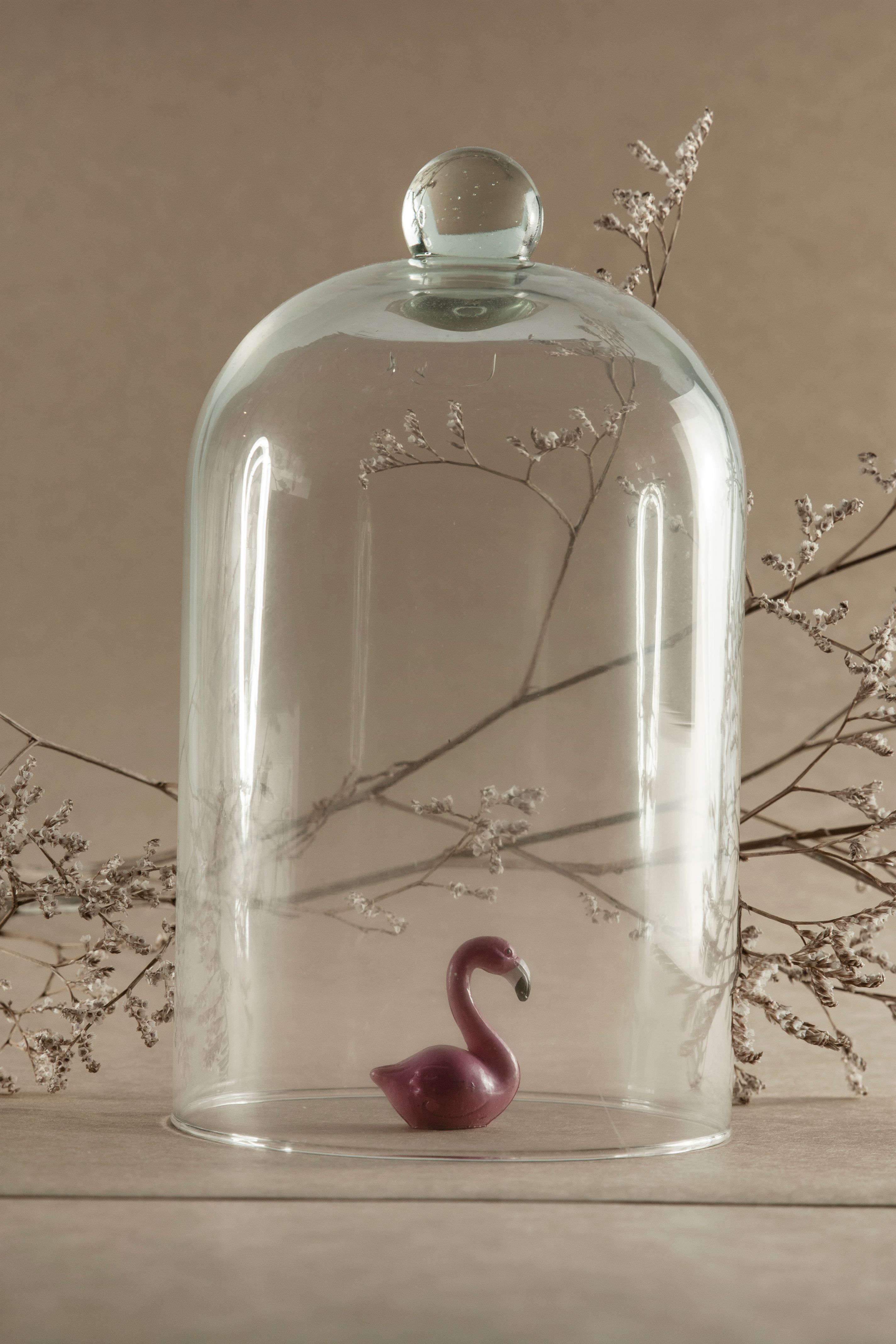 Beige Still Life with Flamingo Figurine under Glass Lid and Dry Plant ...