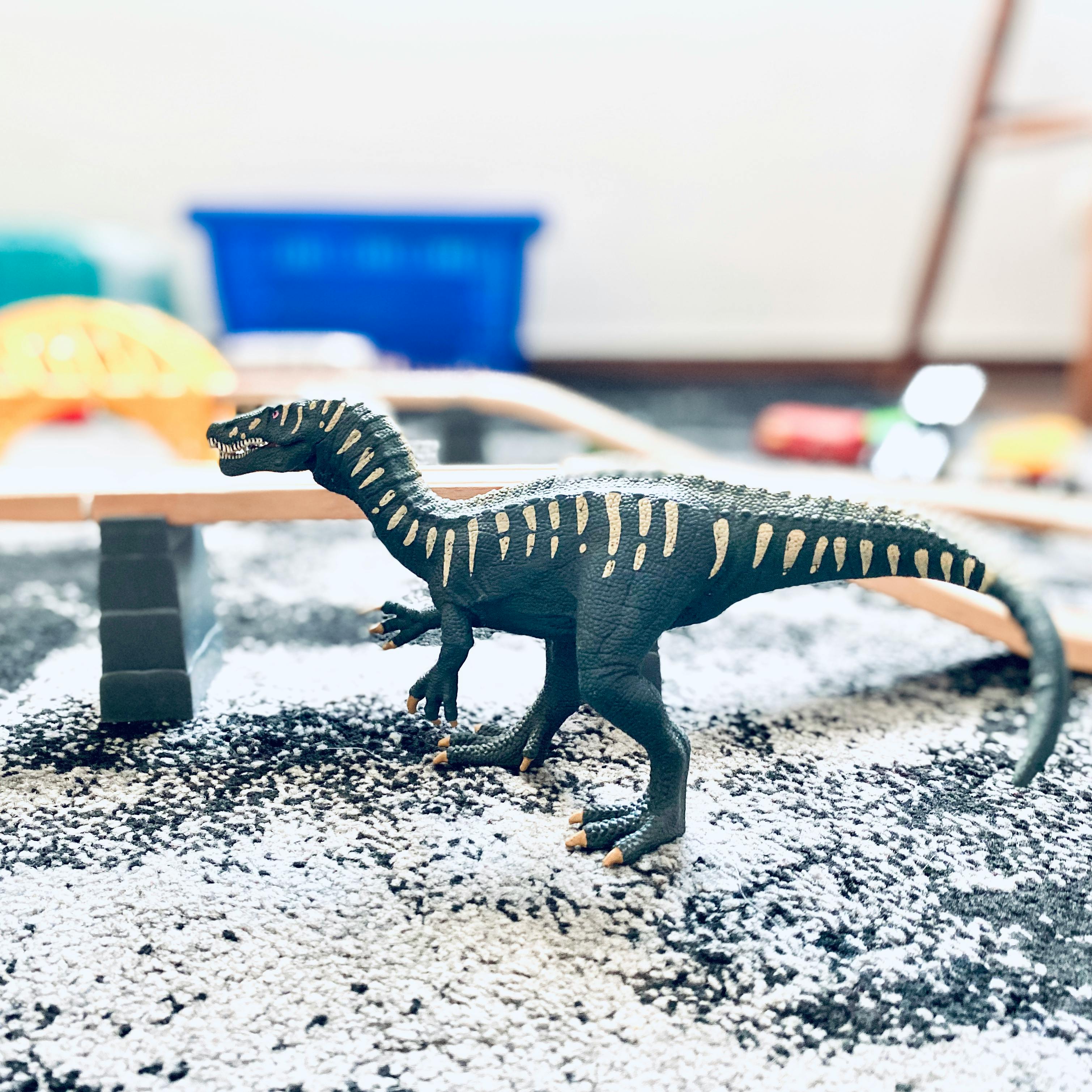 Christian Rieger - 攝影