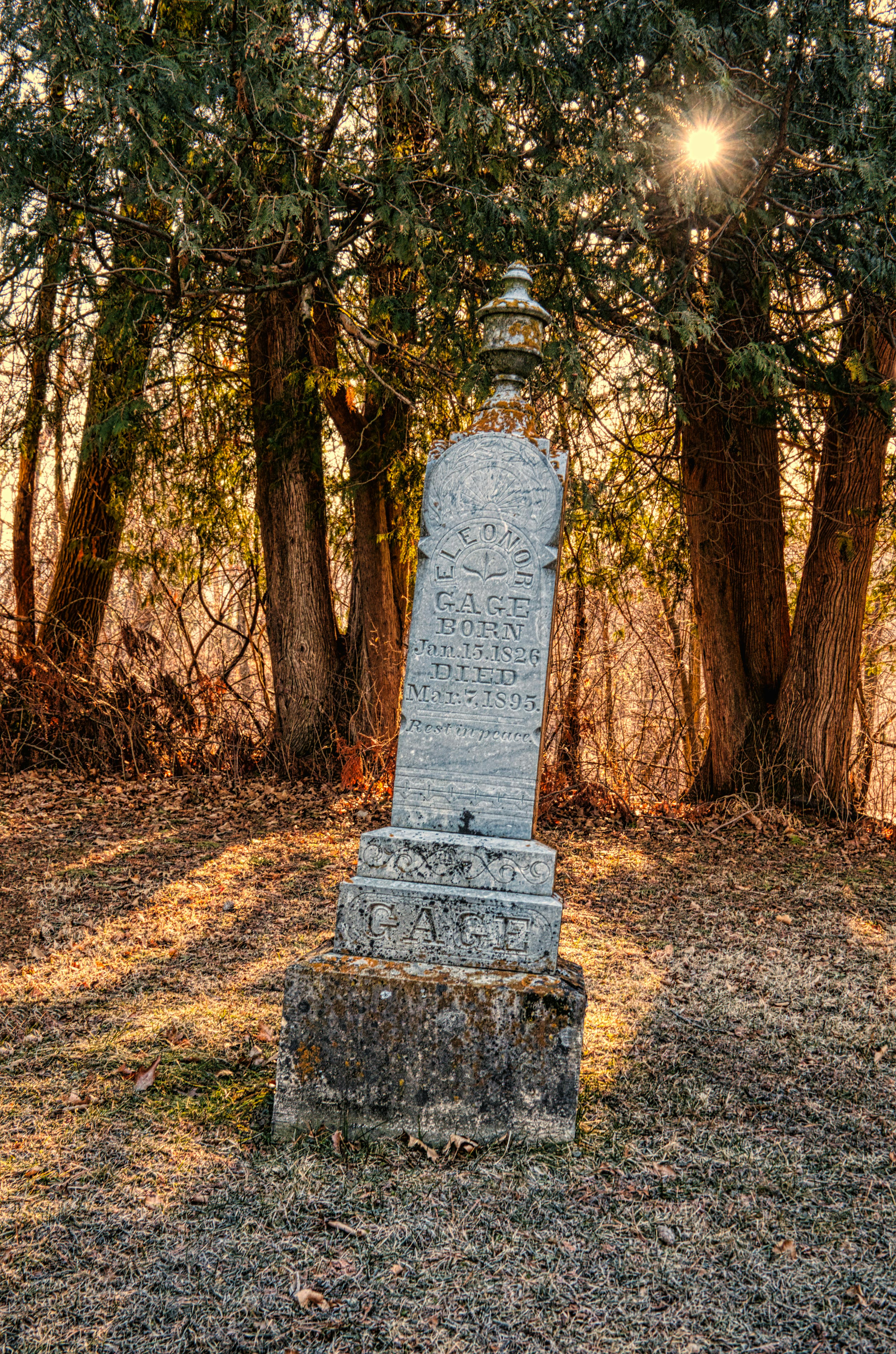Crooked Overgrown Tombstone in Forest · Free Stock Photo