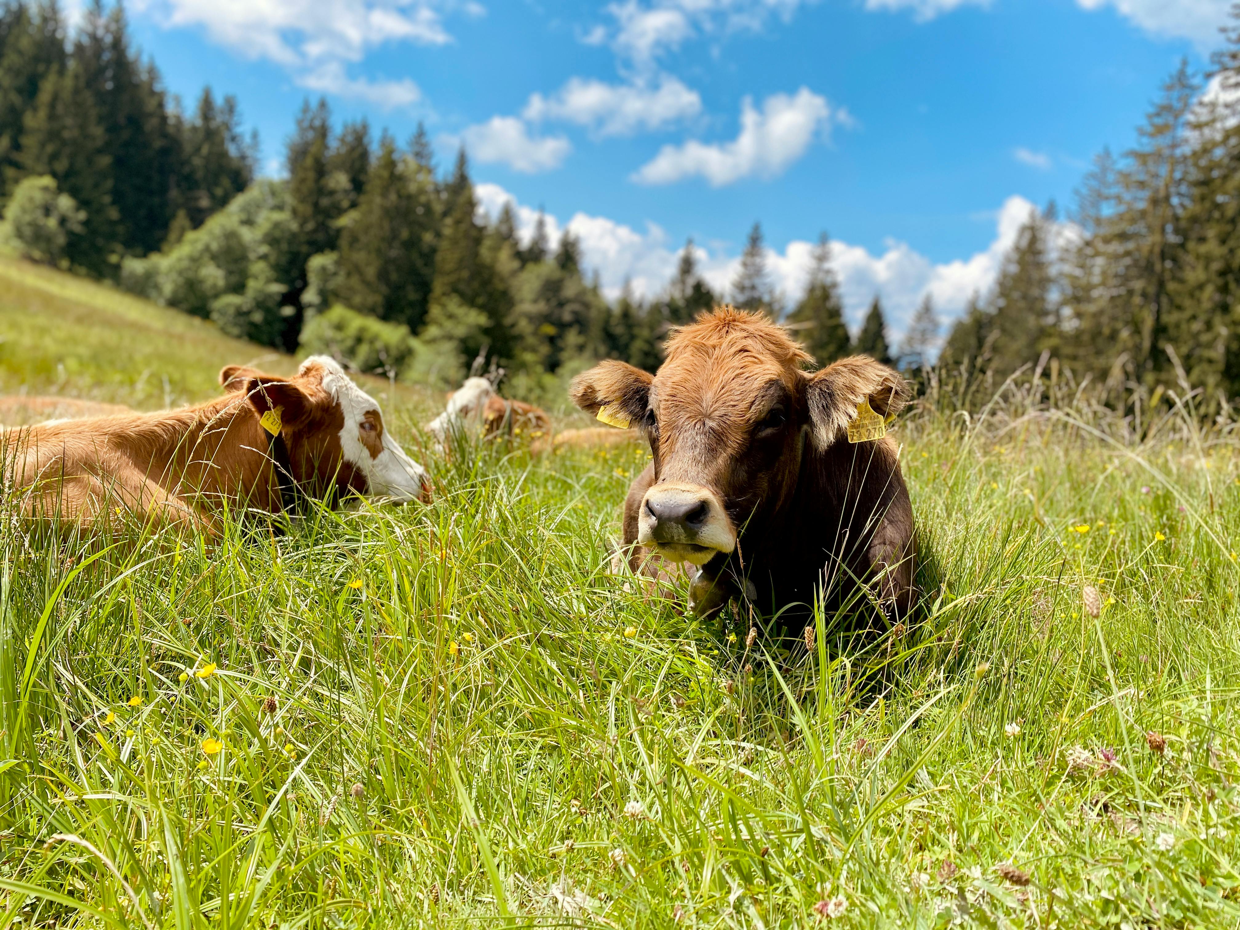 Christian Rieger - Photography