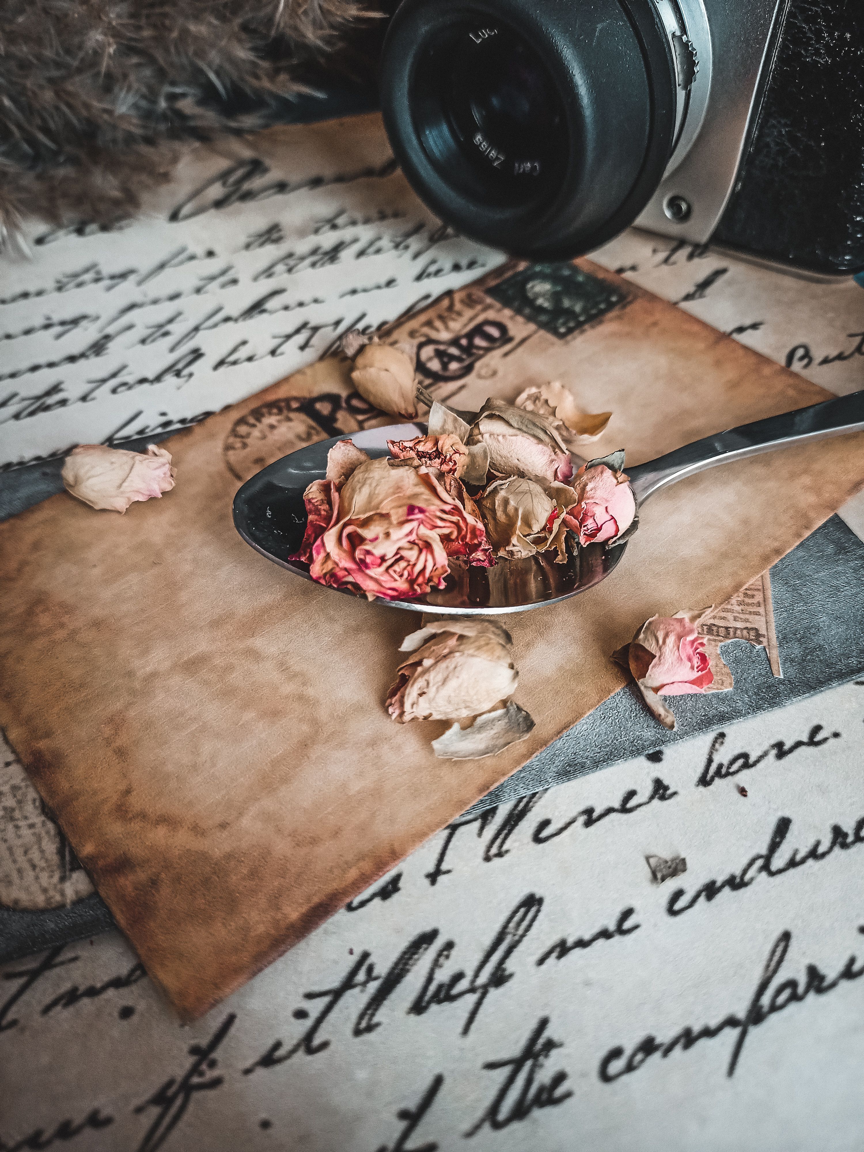 Close-up of Flower Petals · Free Stock Photo