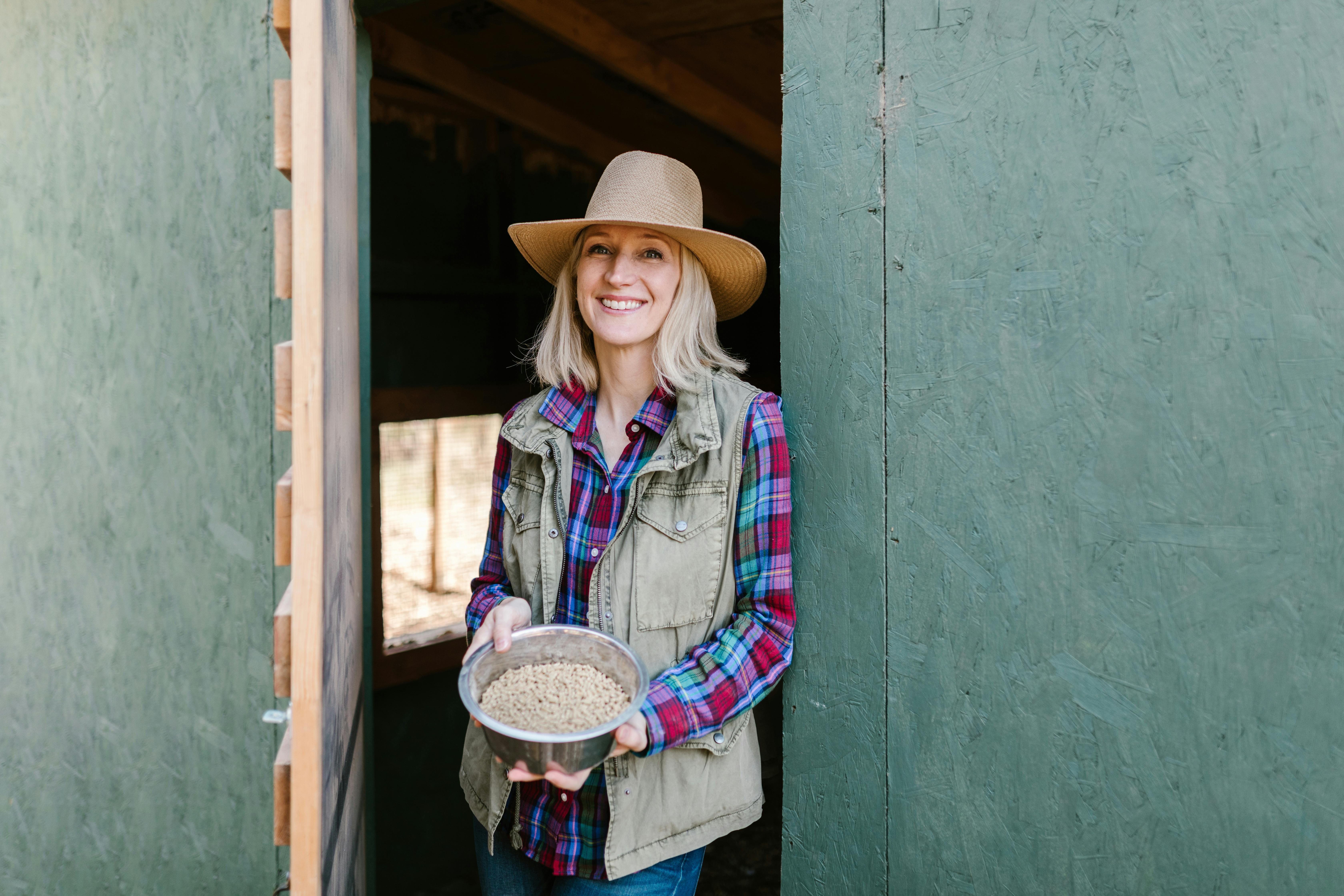 American Homestead Photos, Download The BEST Free American Homestead ...